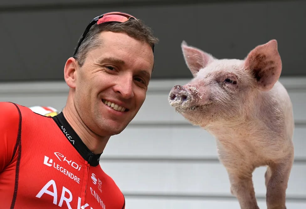 The Hell of the West - by Izzy Moore - Threadnoodle