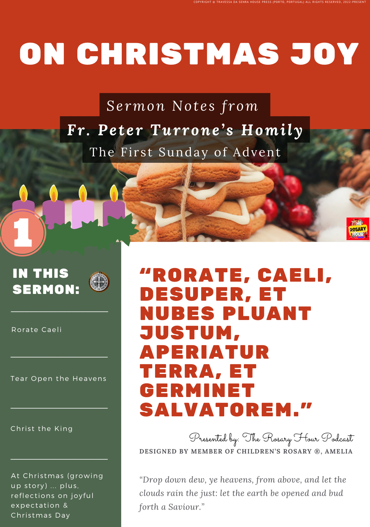 "Rediscovering Christmas Joy", notes from Fr. Peter Turrone, IMC ...