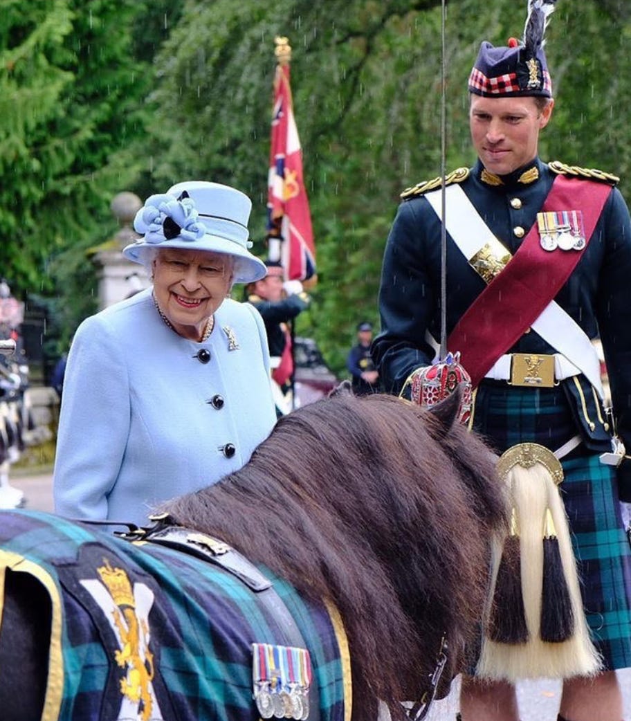 Meet Major Eye Candy - the palace’s secret weapon