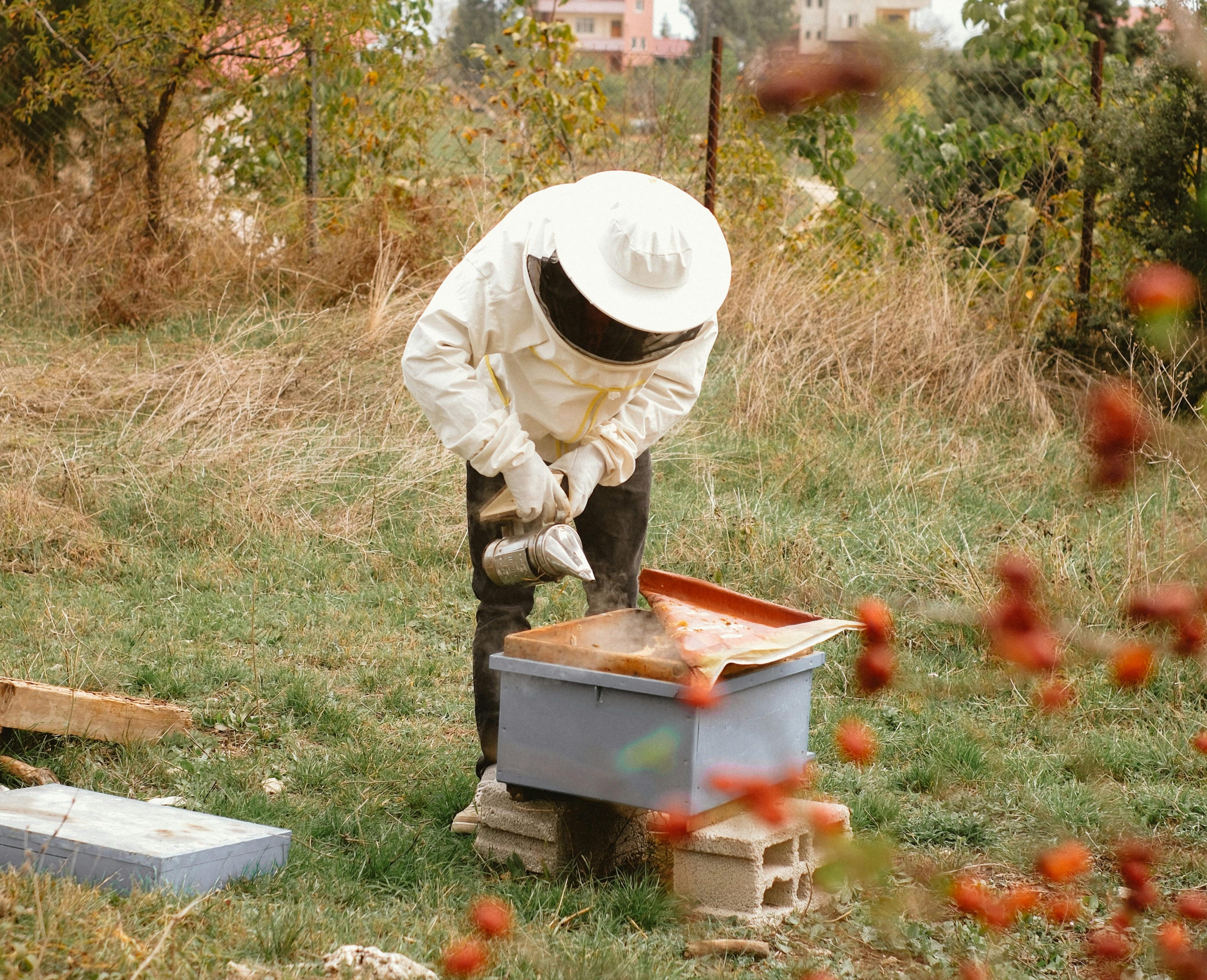 PerfectBee's Essential Beekeeping Q&A Hub