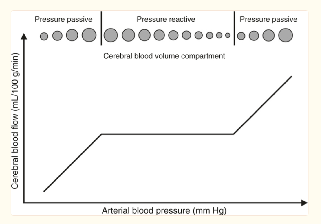 Cerebral Autoregulation Monitoring An Approach To Individualized Blood cerebral-autoregulation-monitoring-an-approach-to-individualized-blood