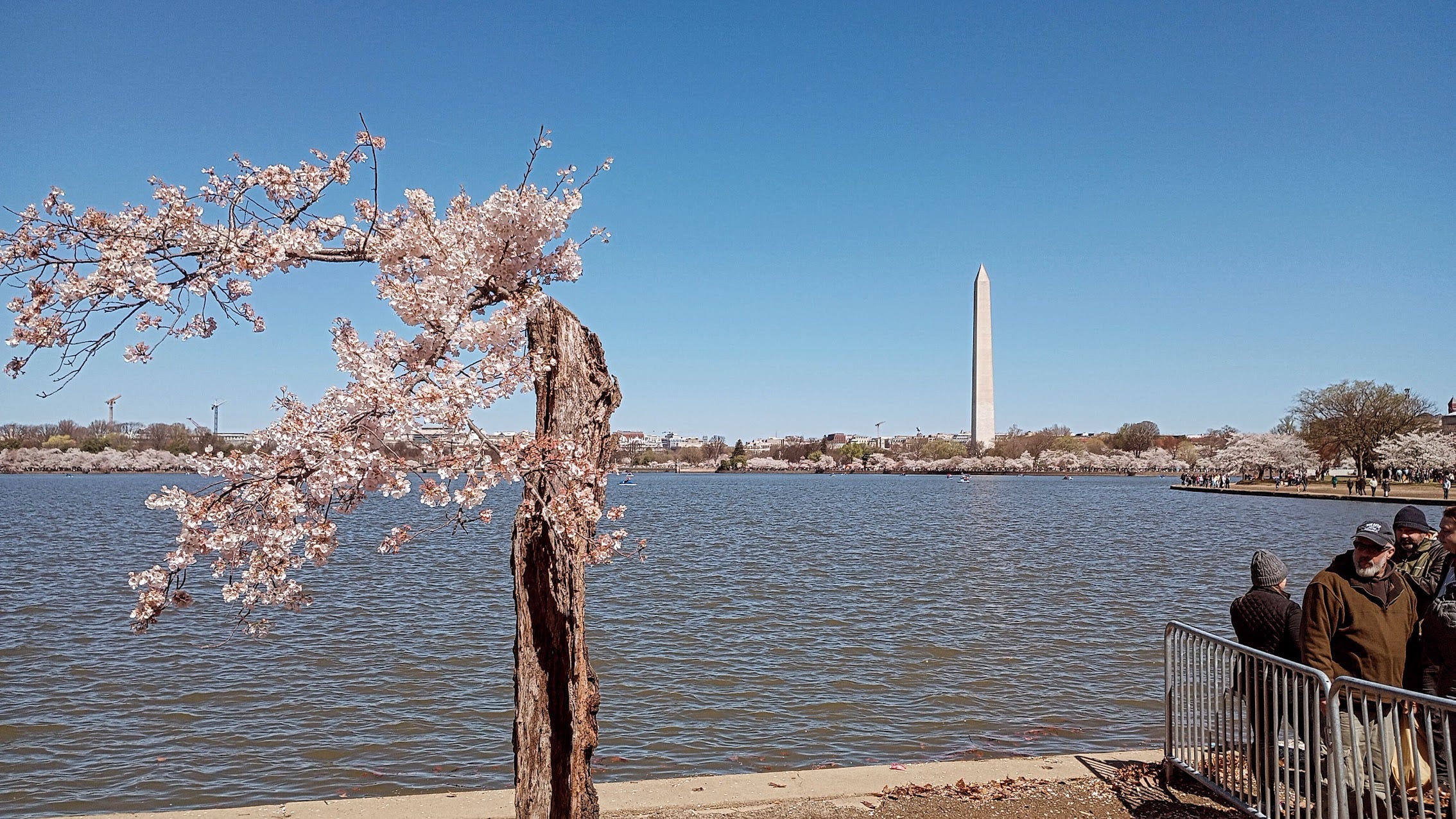 Hiring RNC Ronna Is a Flub for NBC - by Jim Swift