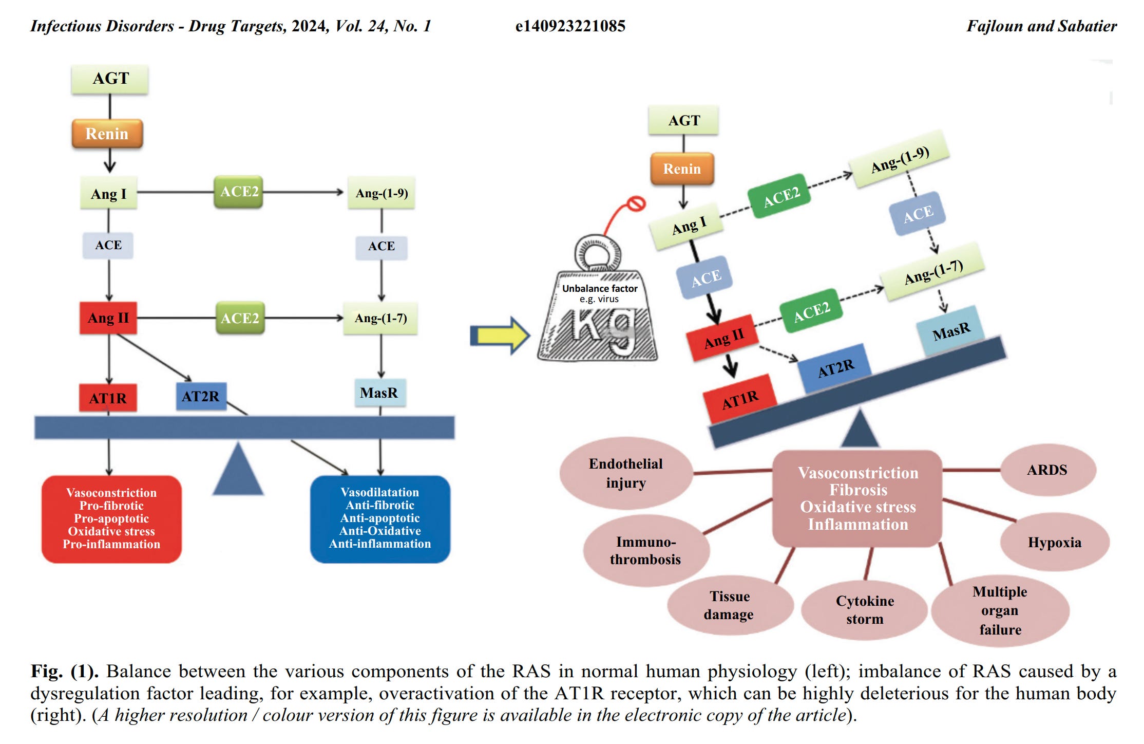 Deregulation von praktisch allem über RAS und AT1R