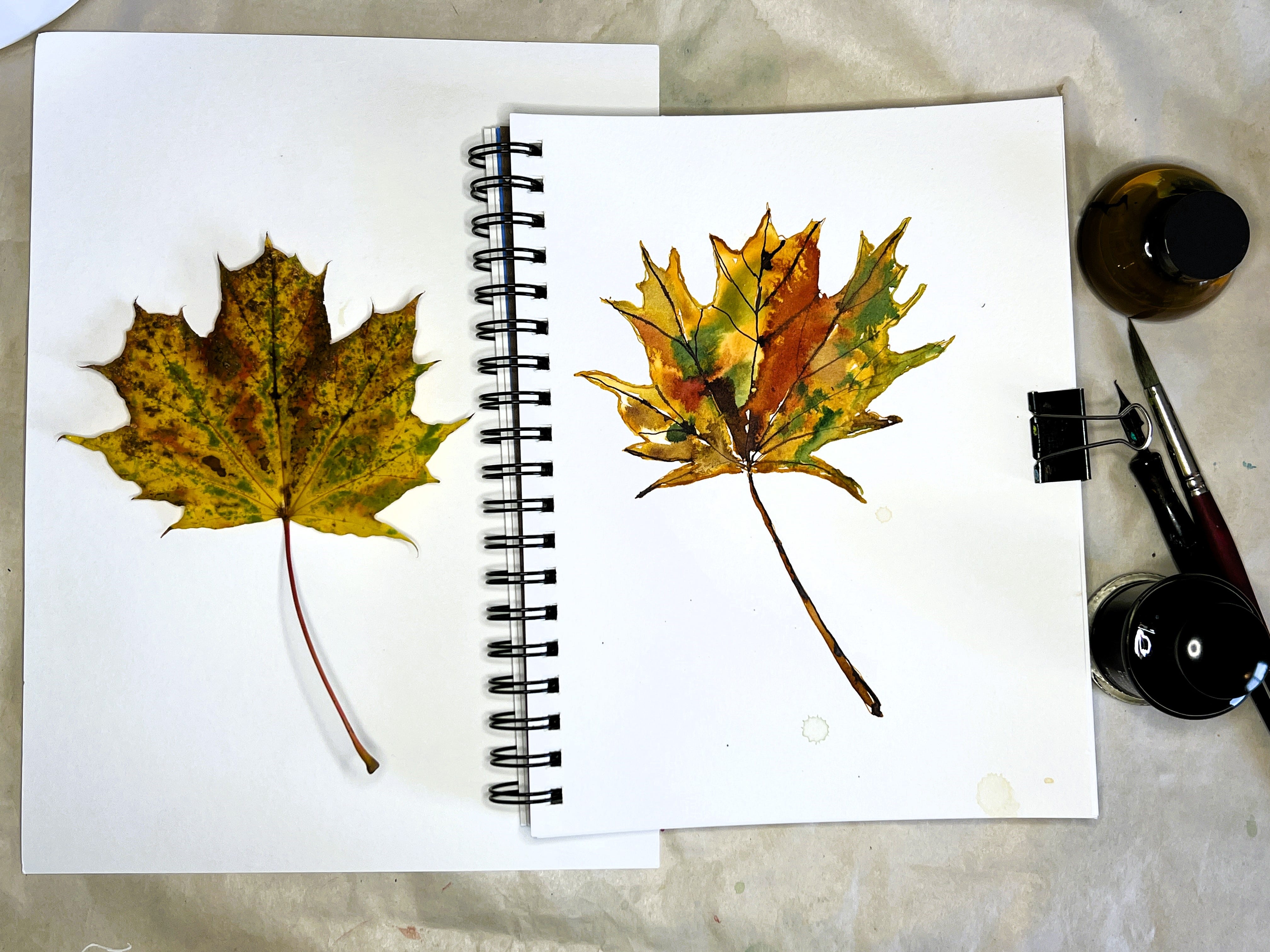 Leaves Paintings And Drawings