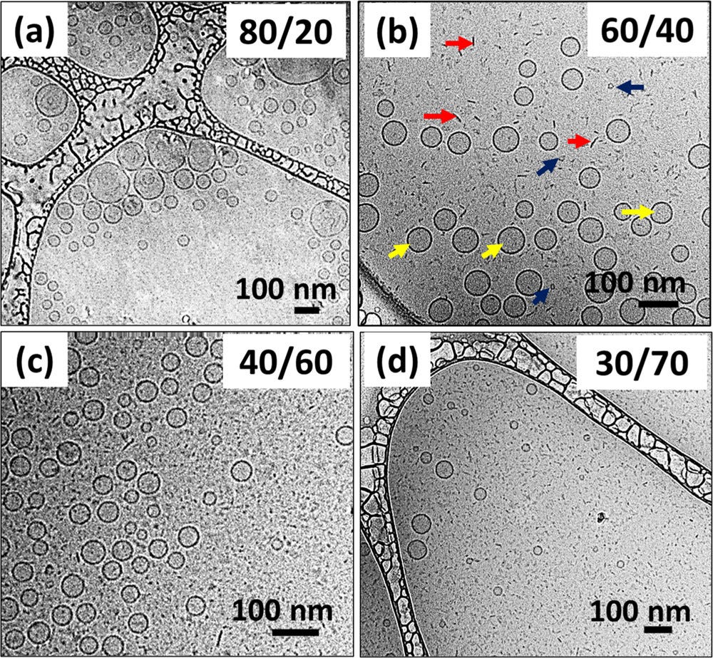 Self Assembly Nanotechnology Polymer Micellar Tubules To Micelles To ...