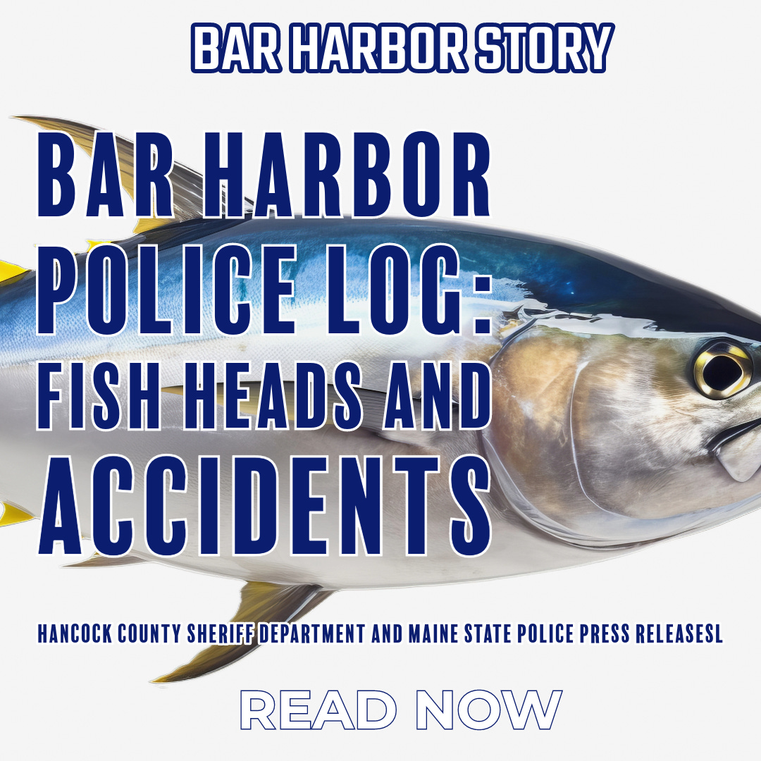 Bar Harbor Police Log: Fish Heads and Accidents