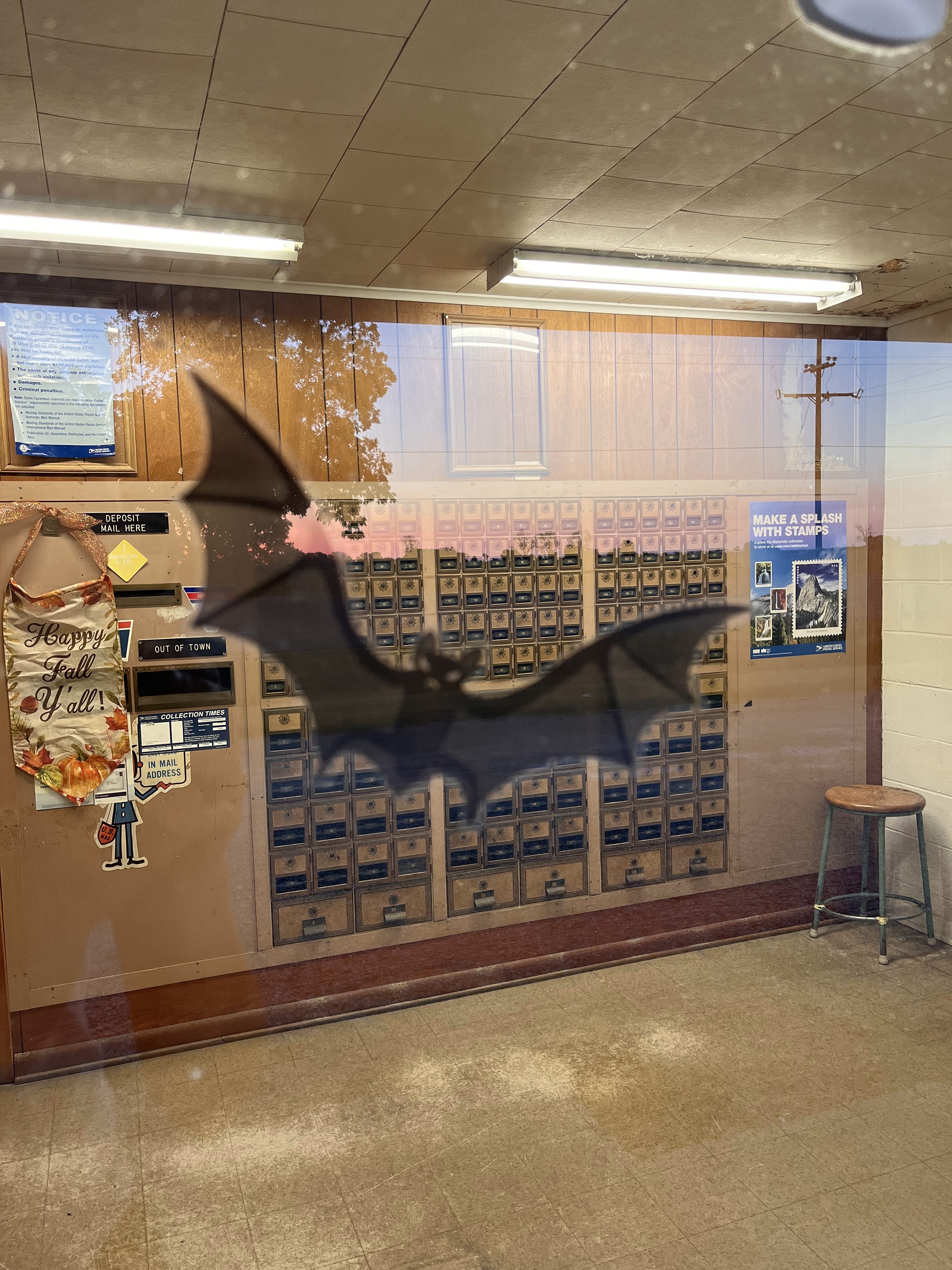 Transylvania, Louisiana - by Stefene Russell - Historiola!