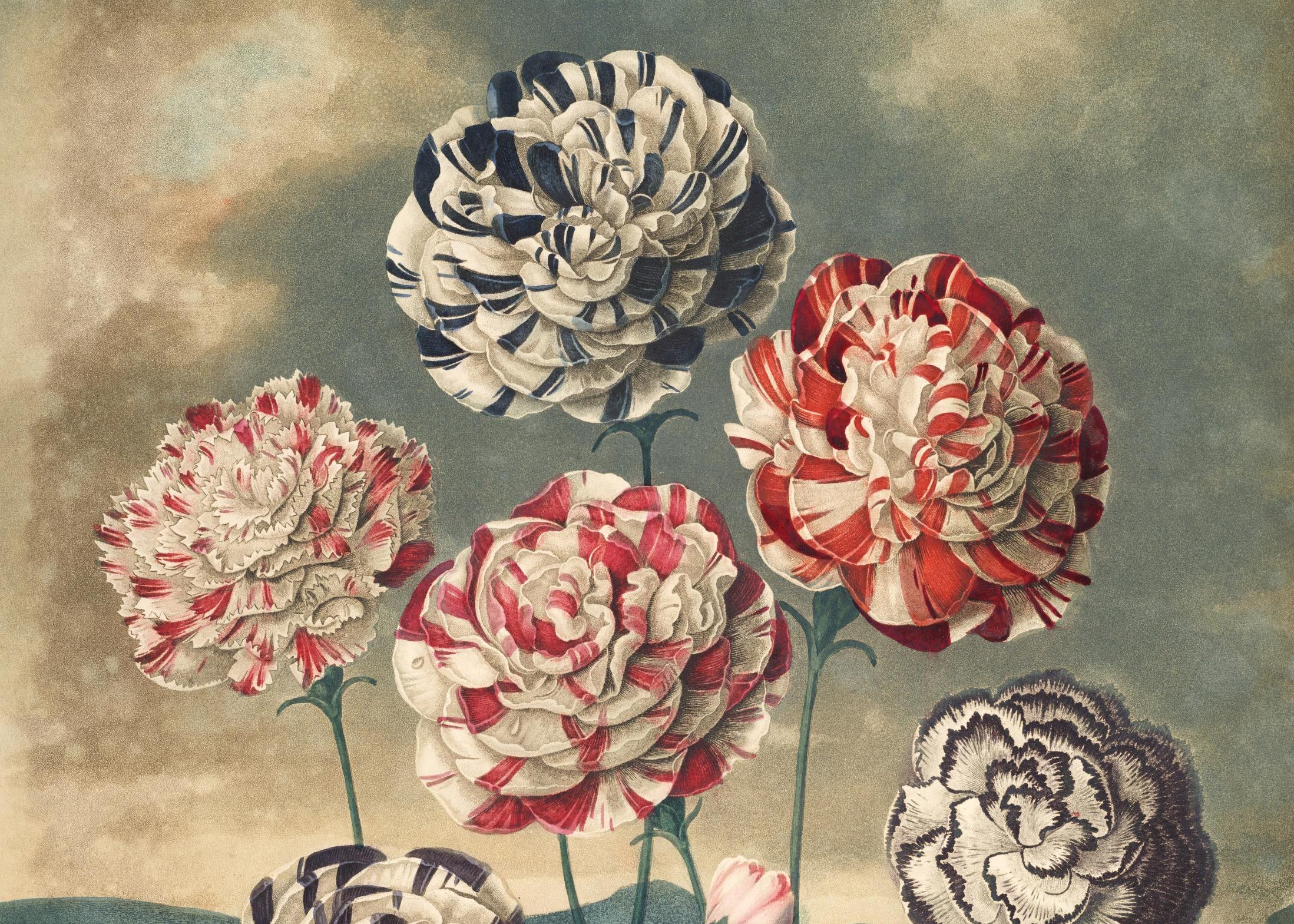 The Bible's Autistic Prophets - by David Zvi Kalman