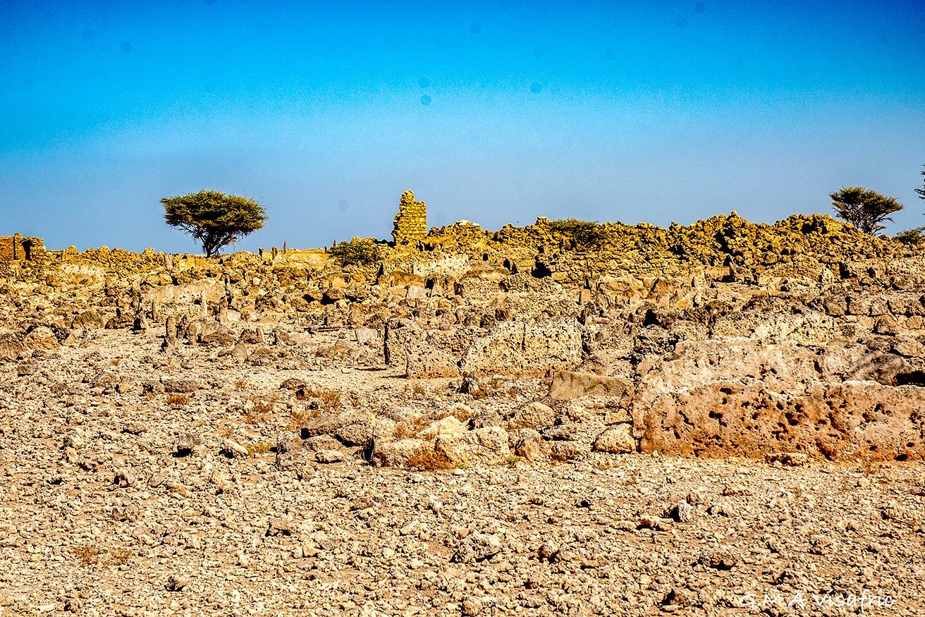 The Dahlak islands and the African dynasty of Yemen