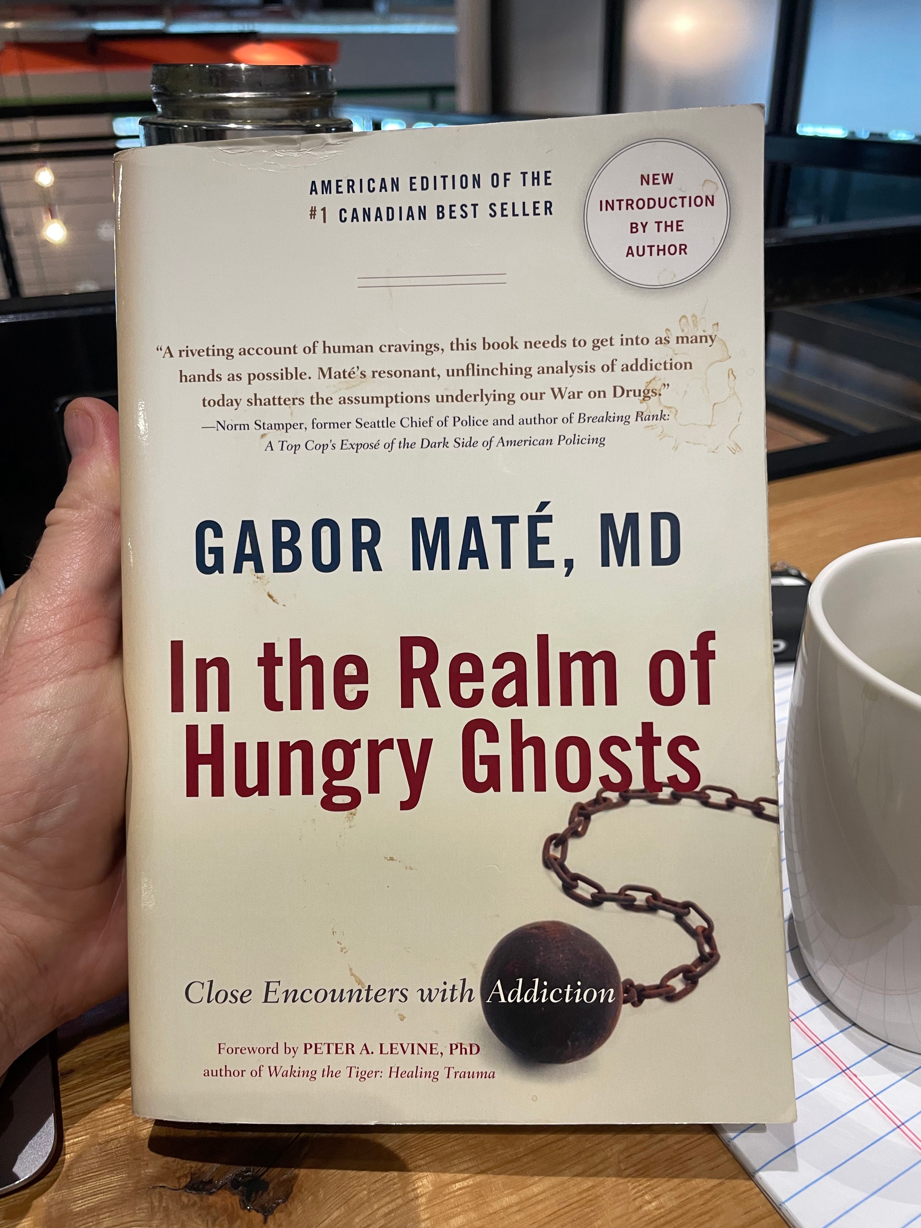 Book #2, 2024 - by Matt Tebbe - A Sanctified Ruckus