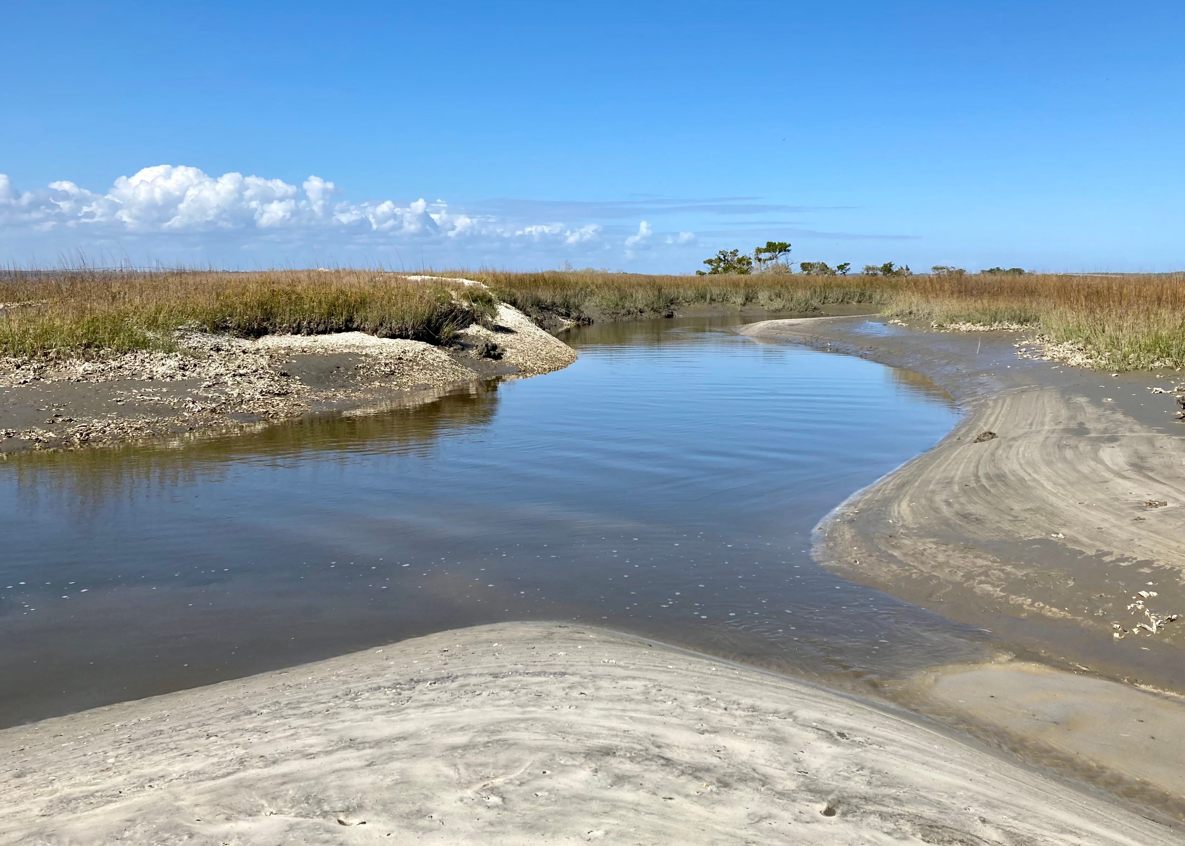 Look to the Edges - by Kim Manley Ort - Seeing Clearly