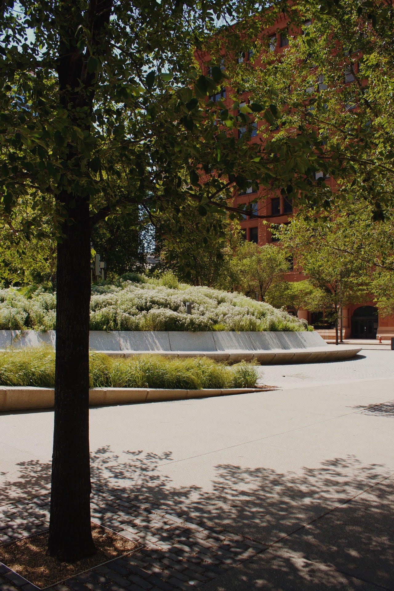 An interview with editor-in-chief Sam Clemente