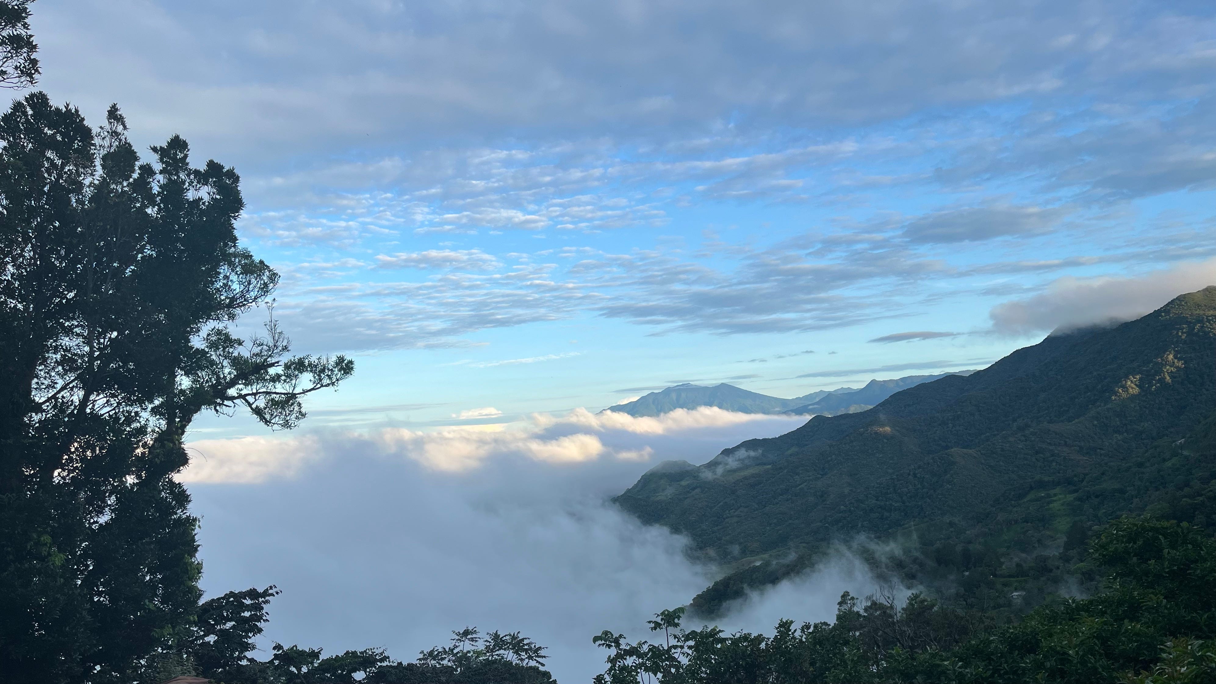 May - Moni’s Substack