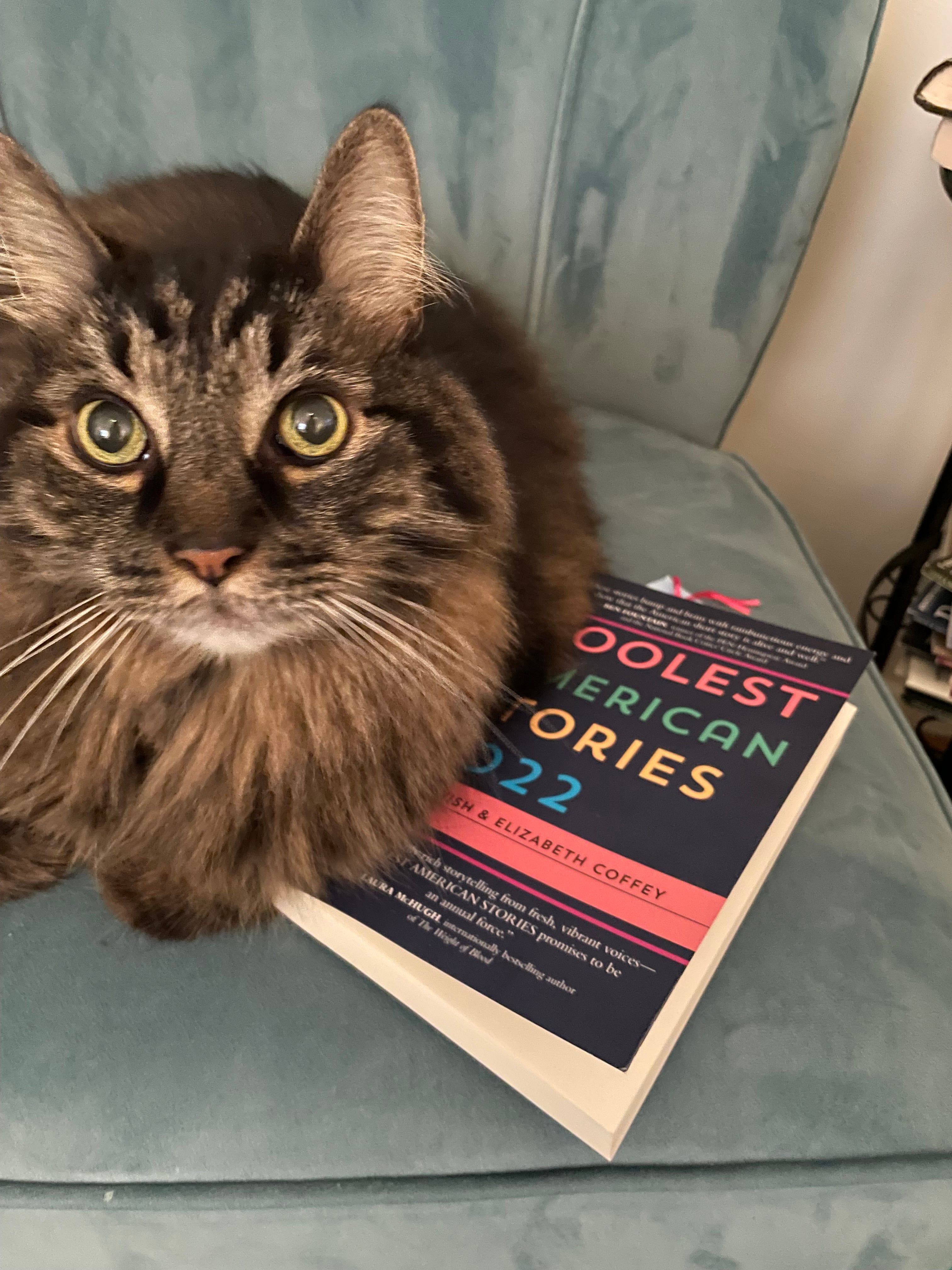 Time - by Barbara DeMarco-Barrett - Pen on Fire