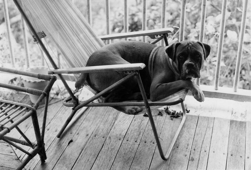 The Great Pretender - by Hugh Lunn - Over the Top with Hugh