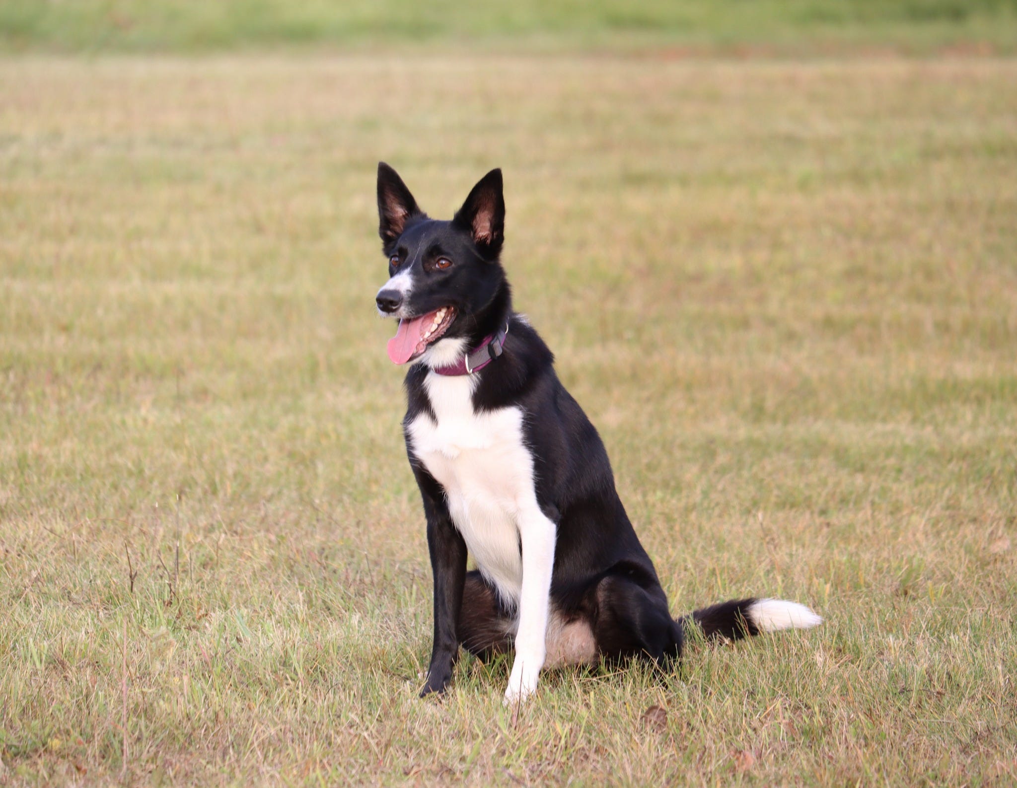 PASILIKIMAS VIETOJE - by Ana Menčiūnienė - Ana’s Substack