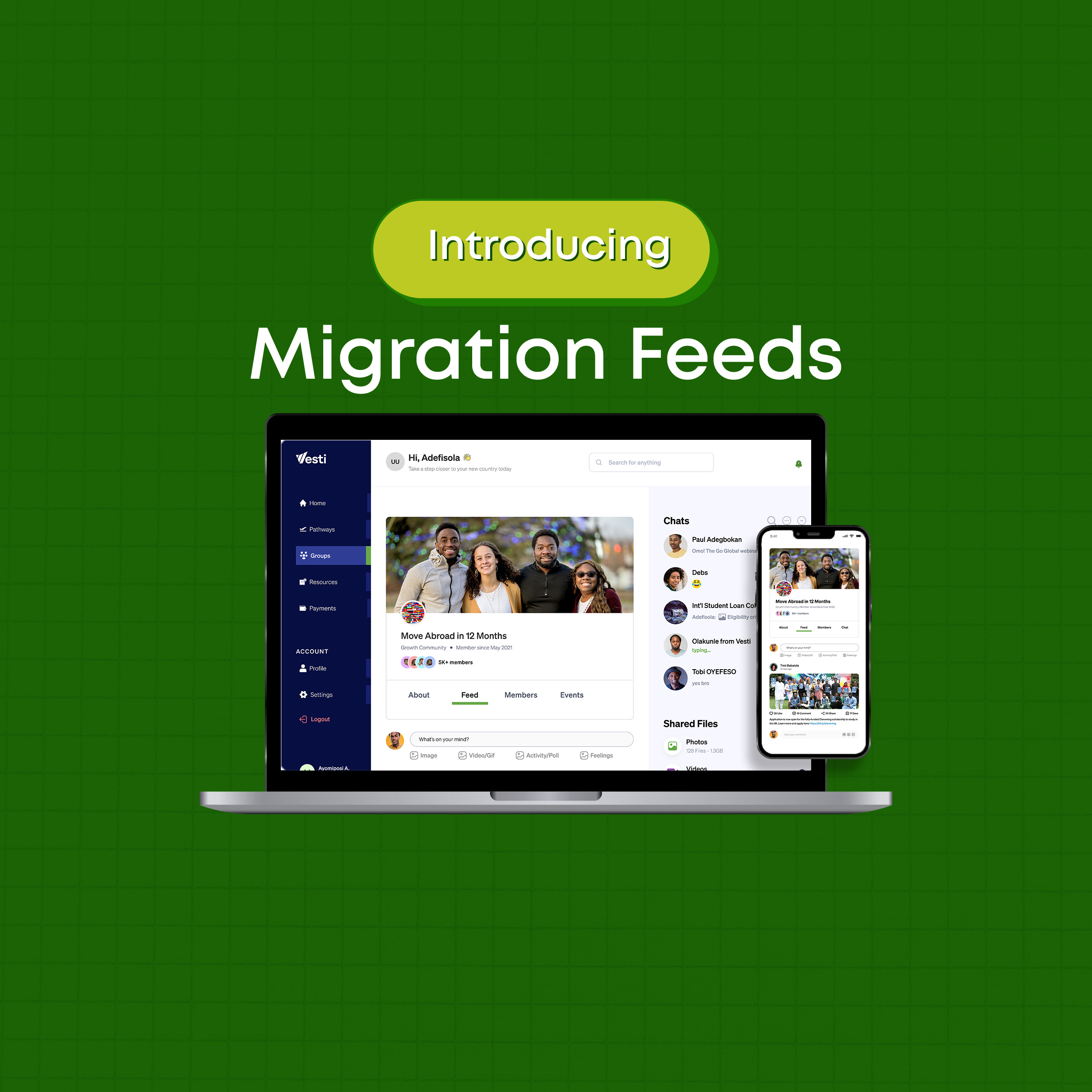 Introducing Migration Feeds - by Vesti App