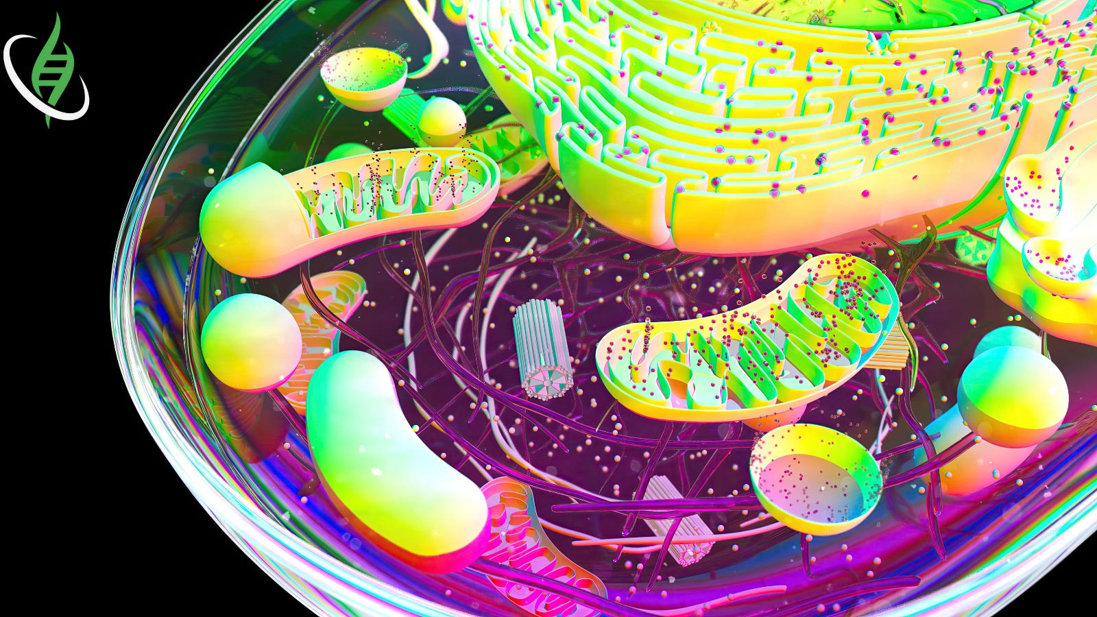 Unlocking Longevity: How OSER1 Could Revolutionize Aging with Plasmid ...