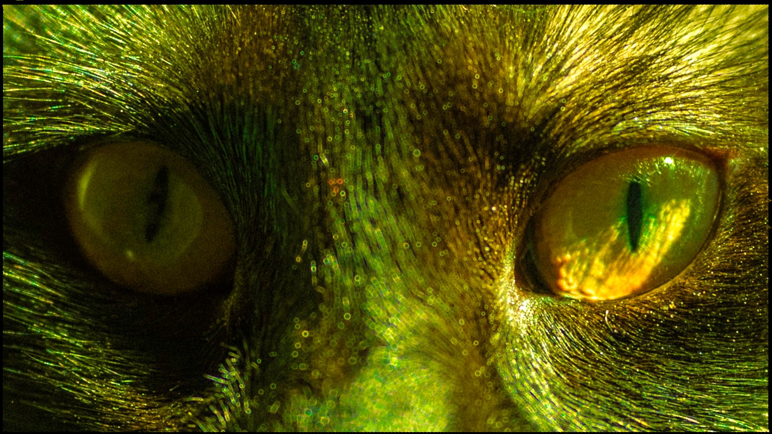 Taking off the lens cap. - by Judy - Southern Glow Gallery