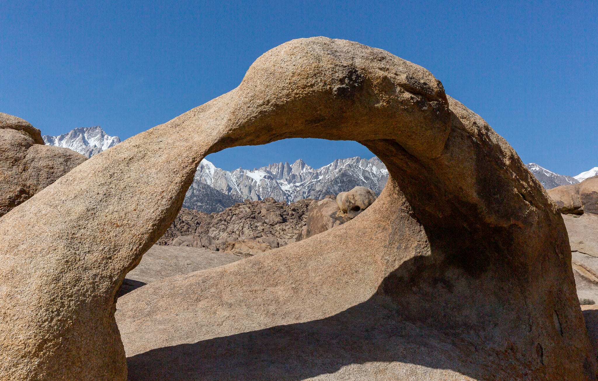 "The Leveling Spirit" - The Democratic Constitution Blog