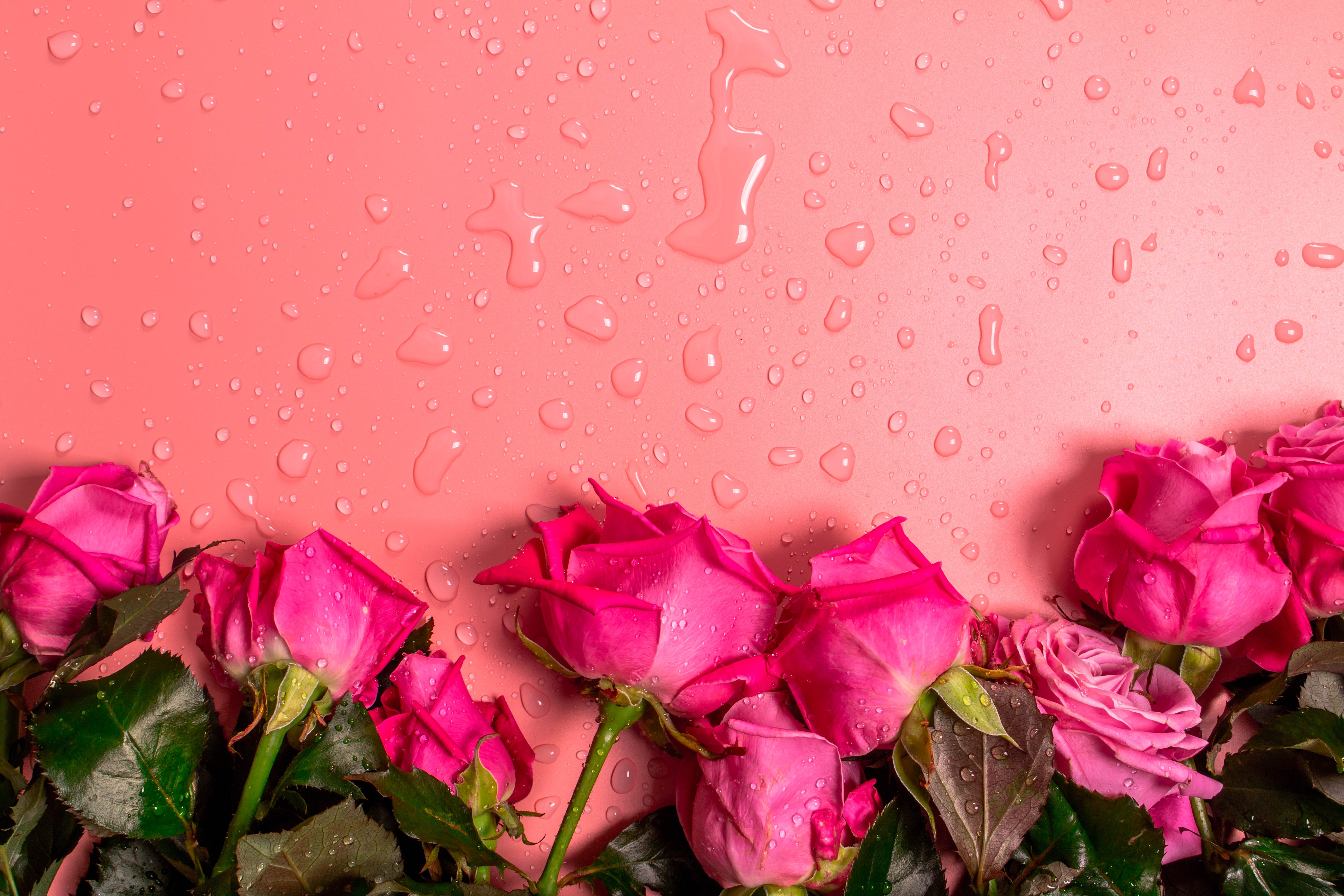 The Pleasure Principle: Why It’s Time to Stop Holding Back