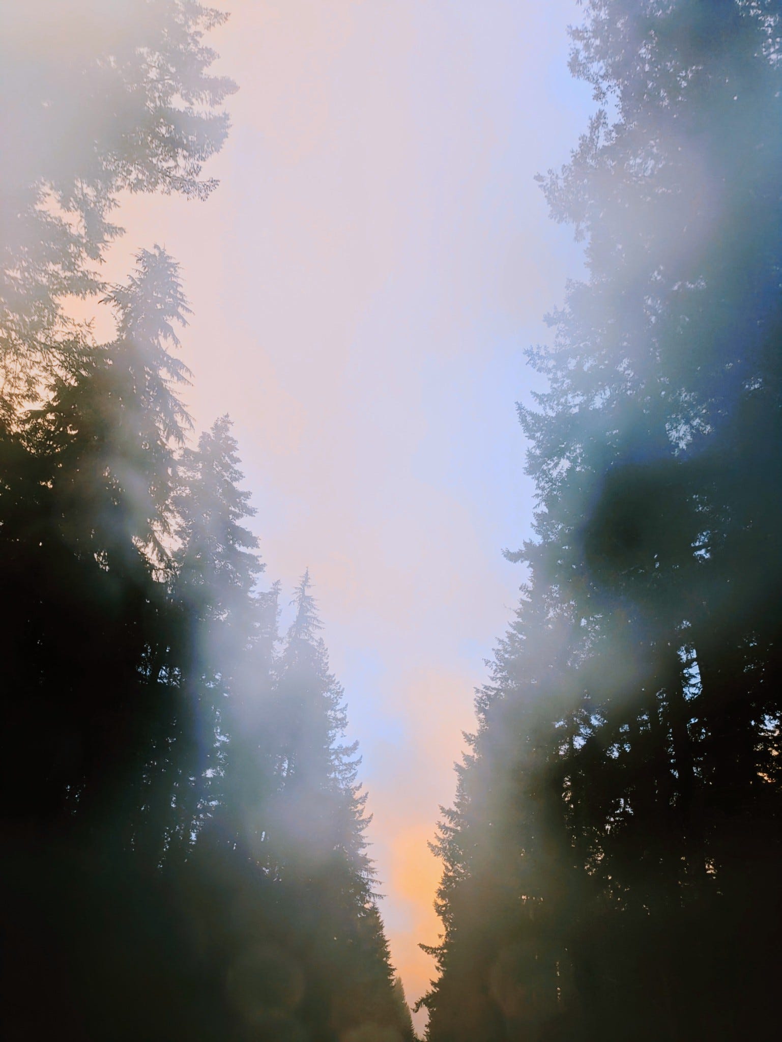 The Turning - by Janet Cain The Turning - Janet’s Substack