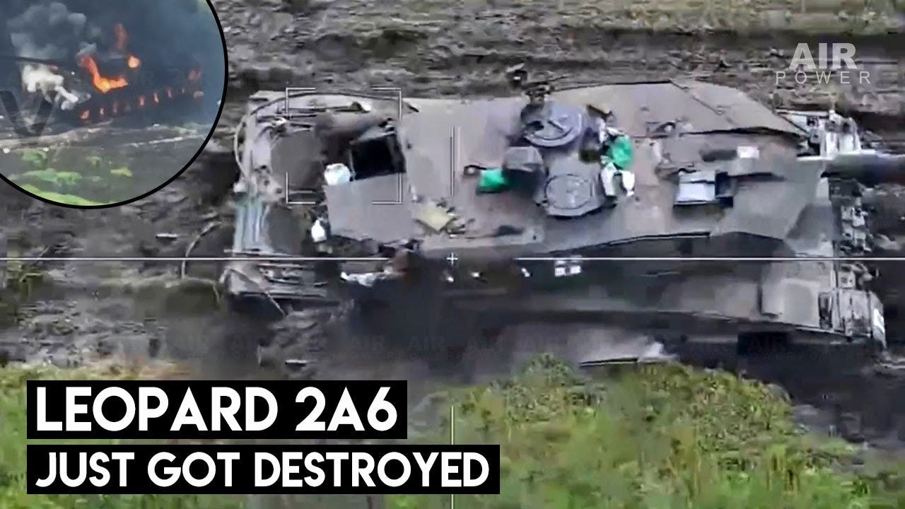 LEOPARDS IN UKRAINE - by Mike Mihajlovic