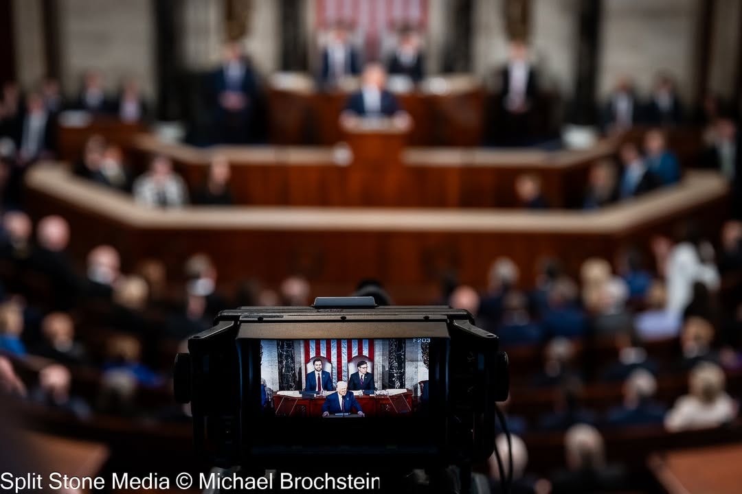 The State of Disunion - by Michael Shaw