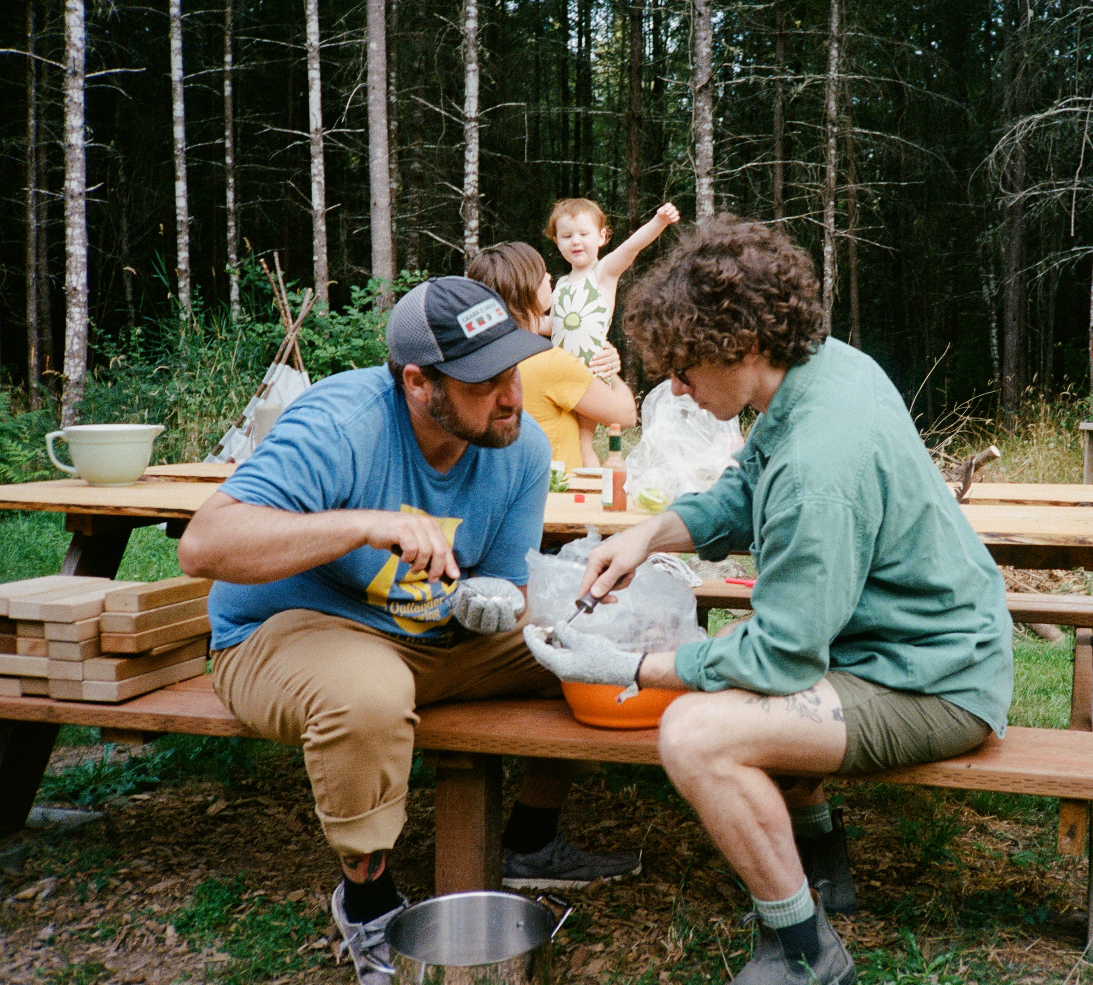 jackal's lagoon - by sara jannette sutter - sara jannette