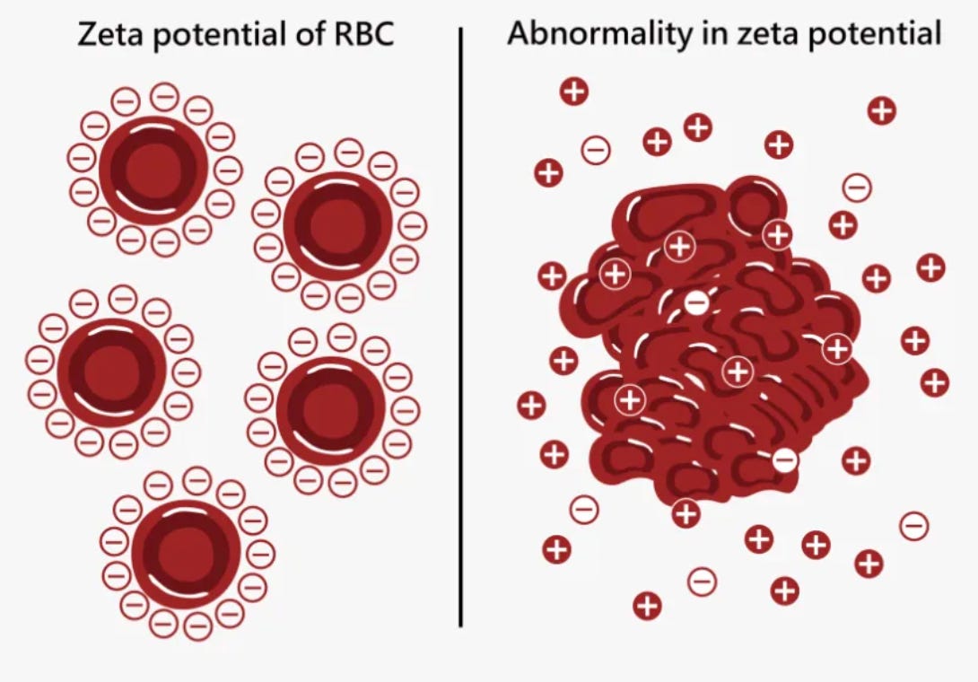 The Hidden Link Between Hypermobility and Vaccine Injury
