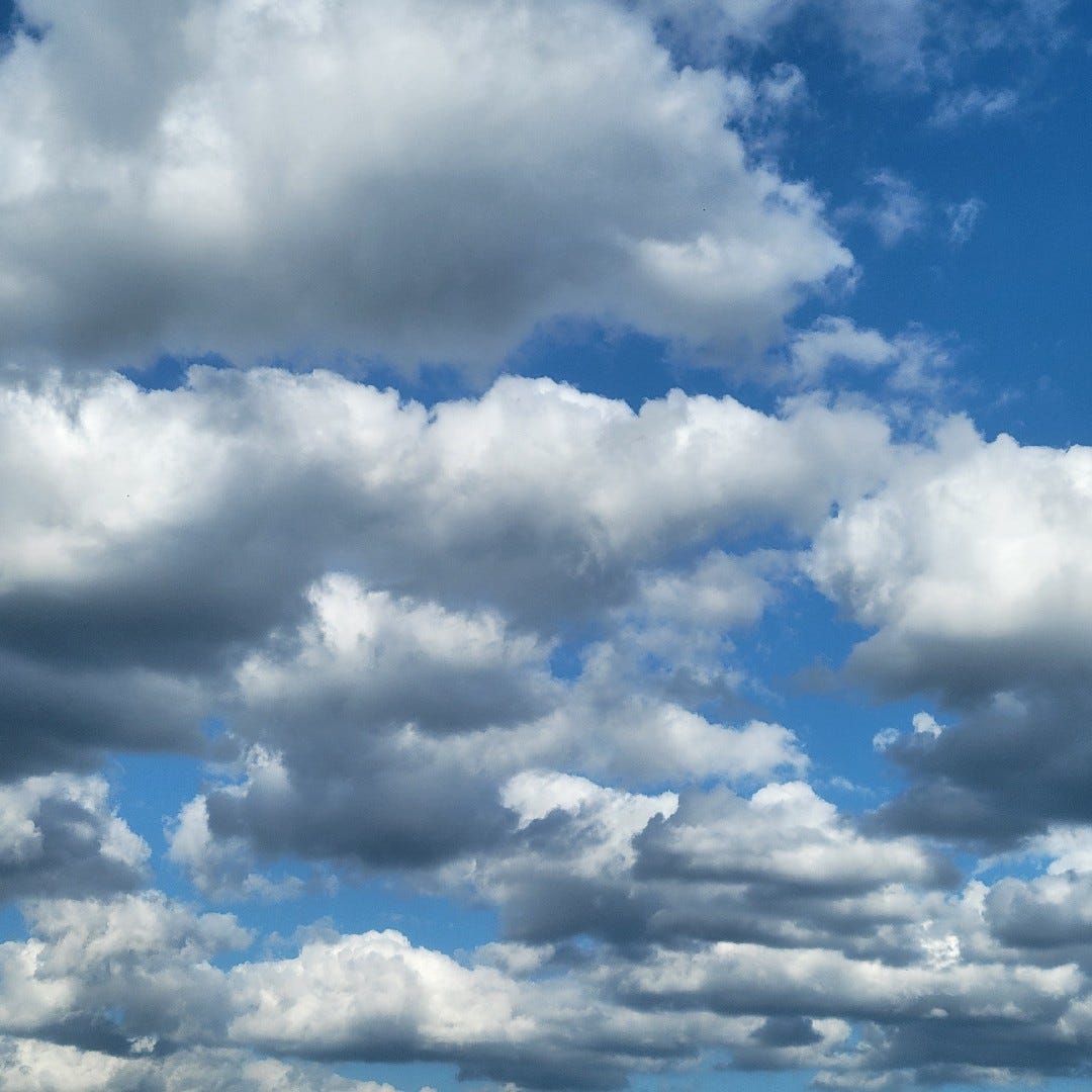 roger friedman | Substack