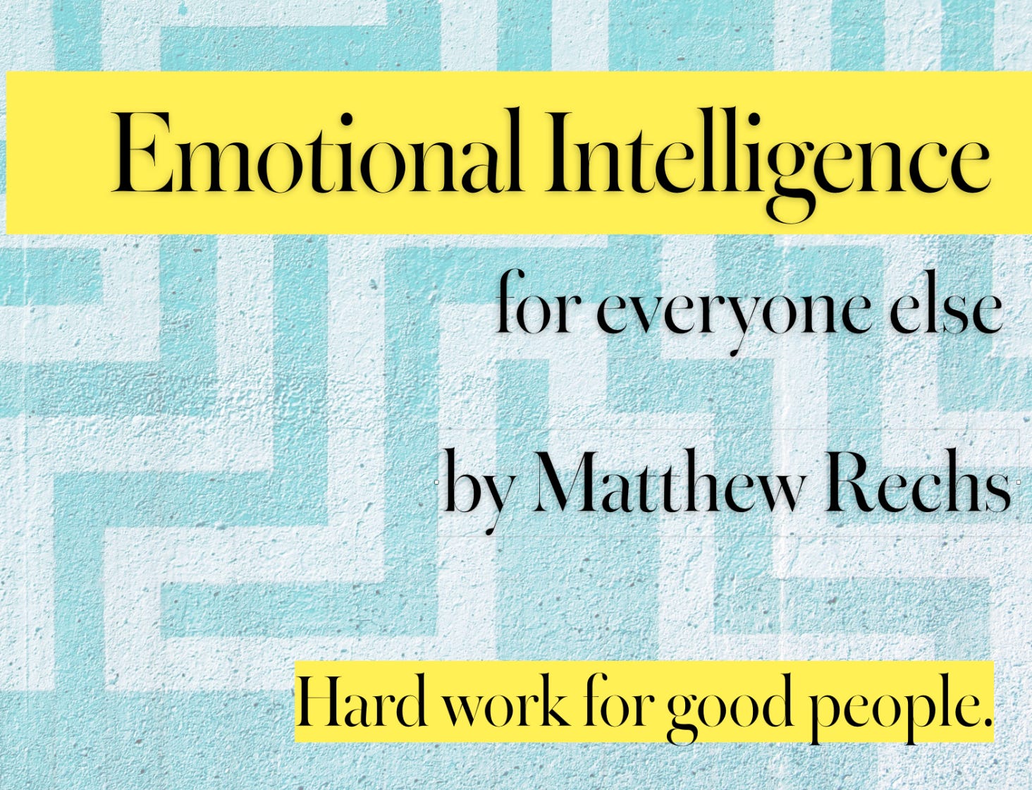 New: Emotional Intelligence for Everyone Else eBook