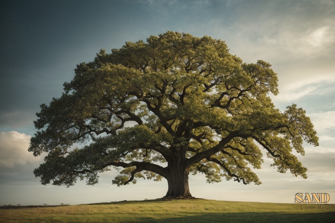 A Quick Study on Trees in the Bible - by Beverly