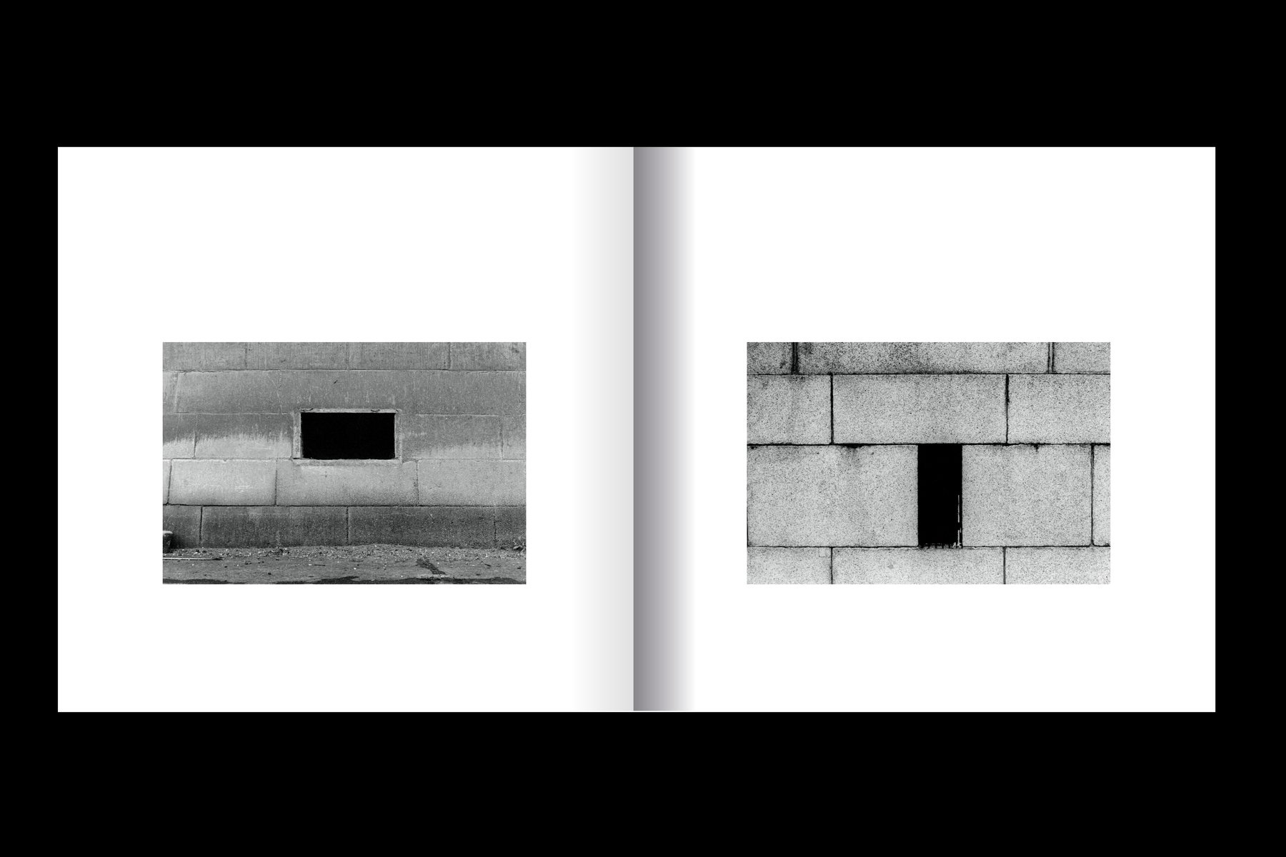 Hugo Pictor's Ekphrastic Dog Hypnosis