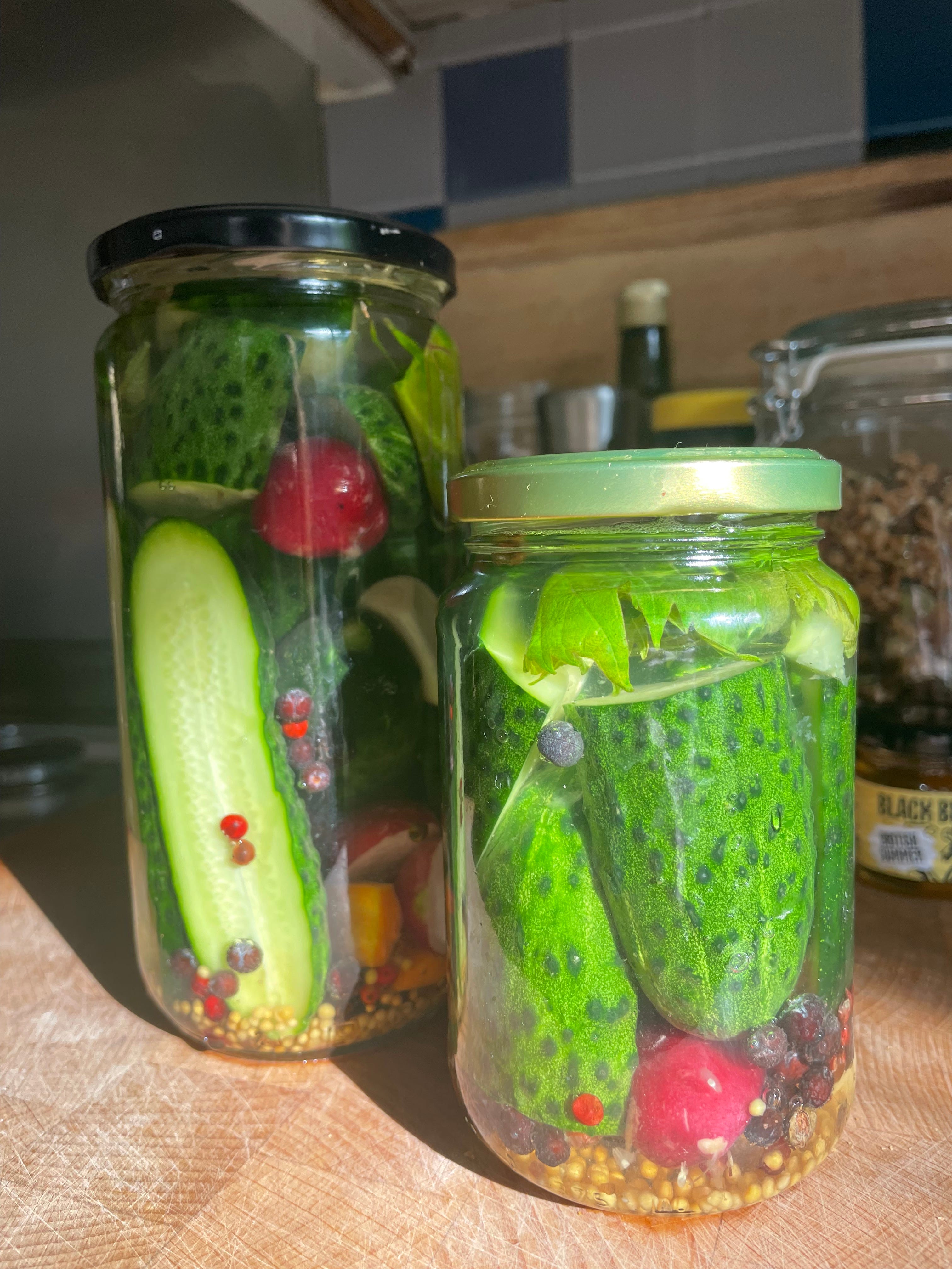Classic pickles (aka gherkins) - by Jeanne Kessira