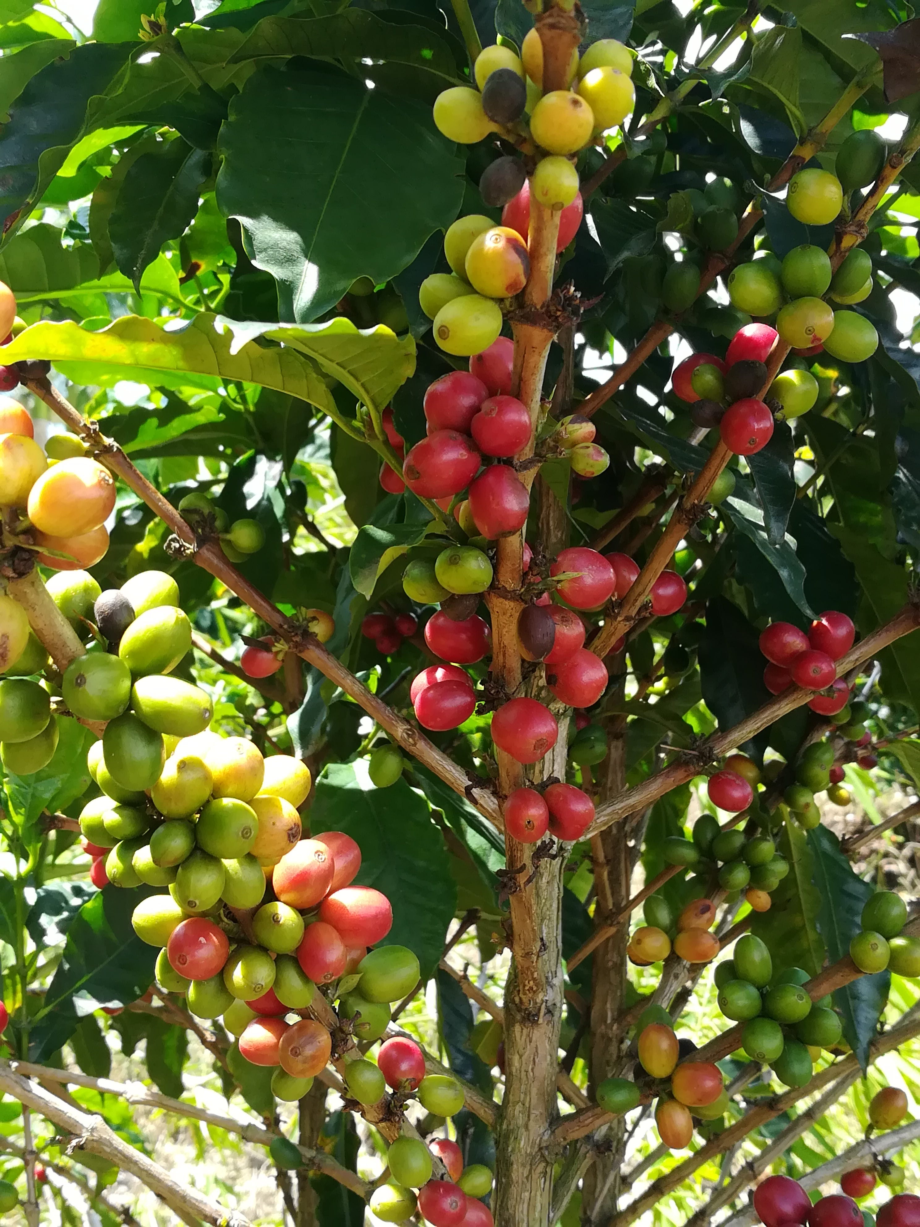 ANTONIO HERMOSA ANDUJAR | Substack