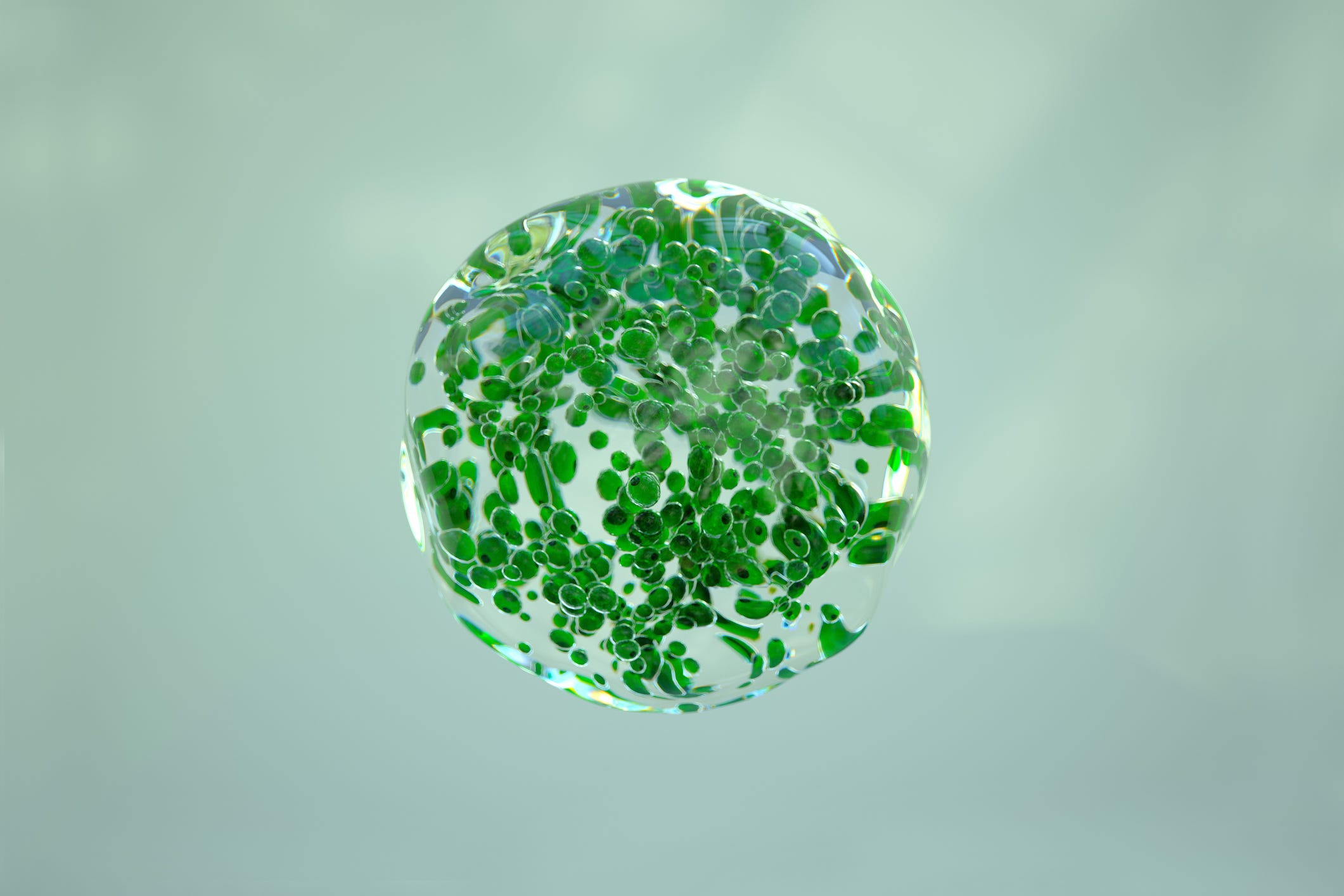 Is There a Purpose to Life? - by Lewis Coyne