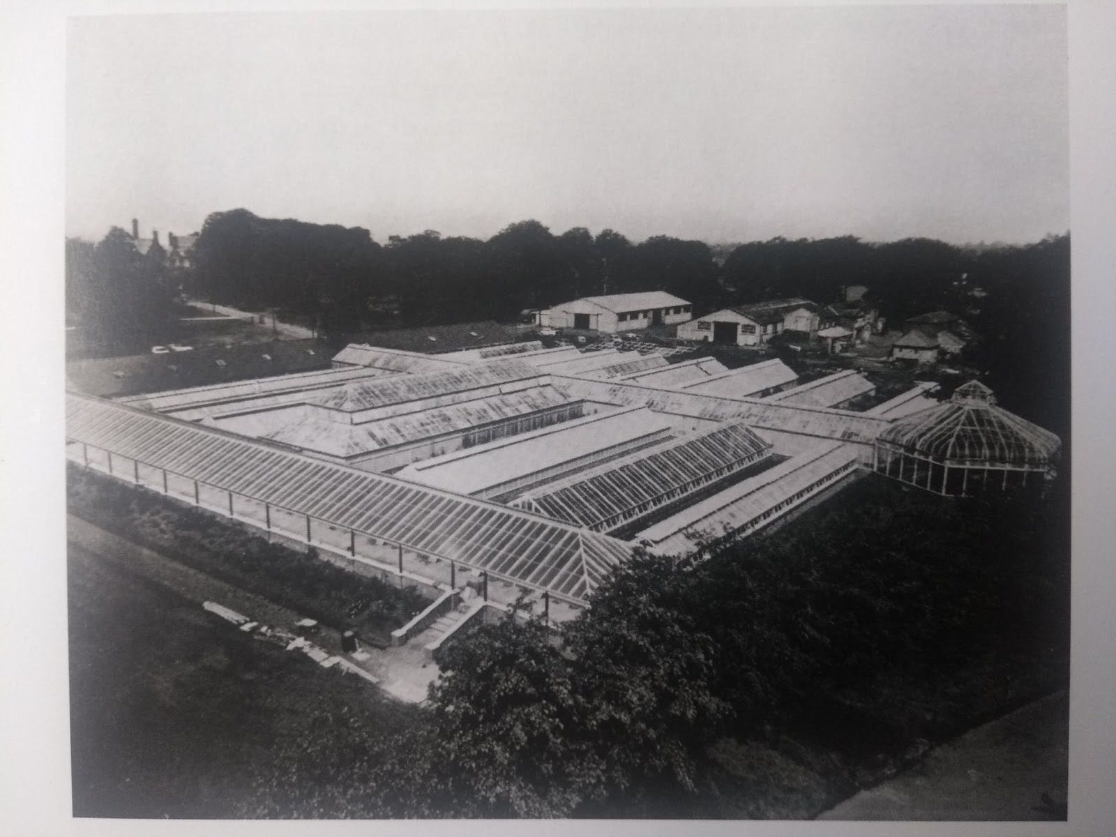 Botanical Garden And Greenhouse Liverpool | Fasci Garden