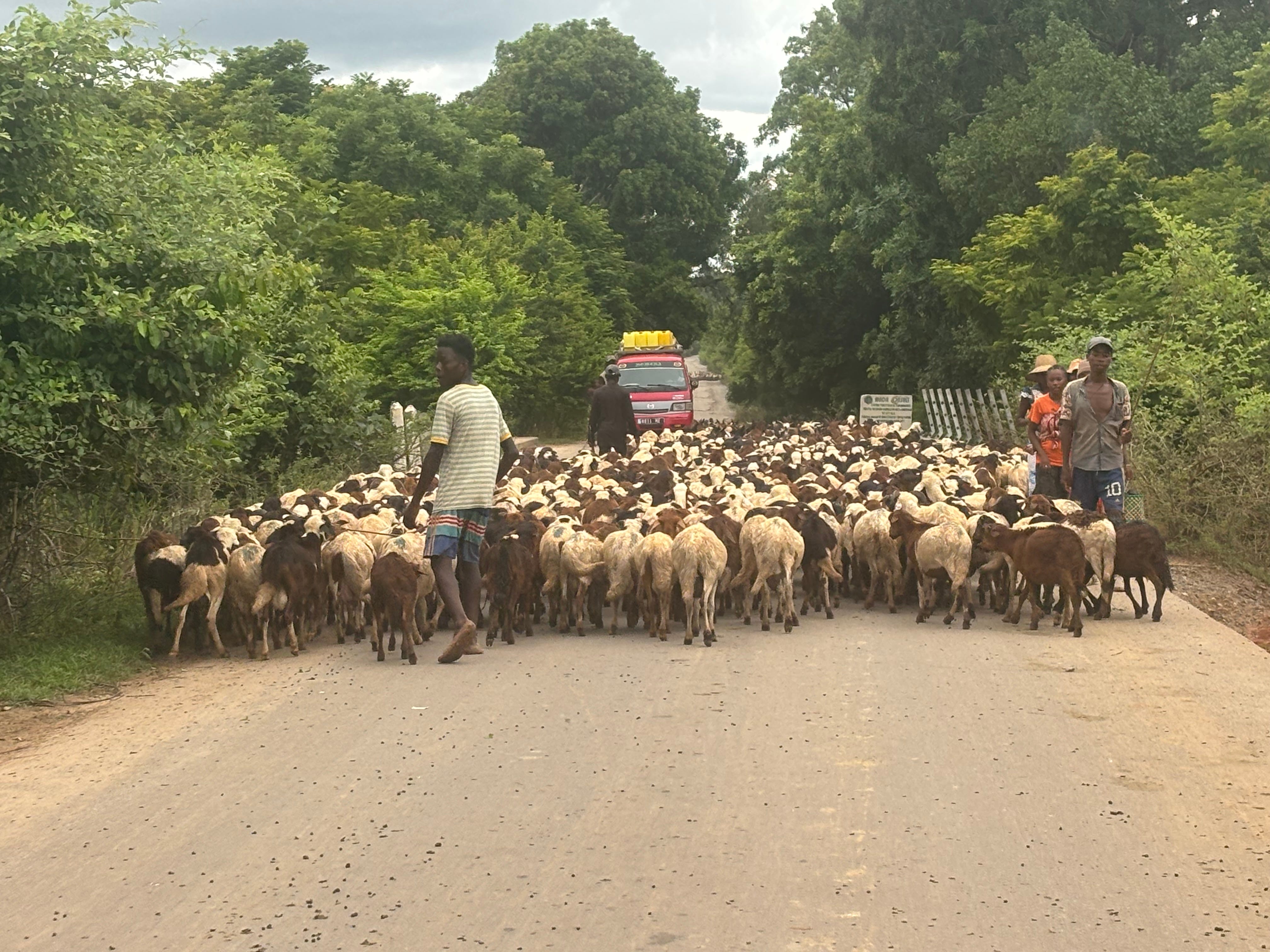 Visit to the Parish of Port Berge
