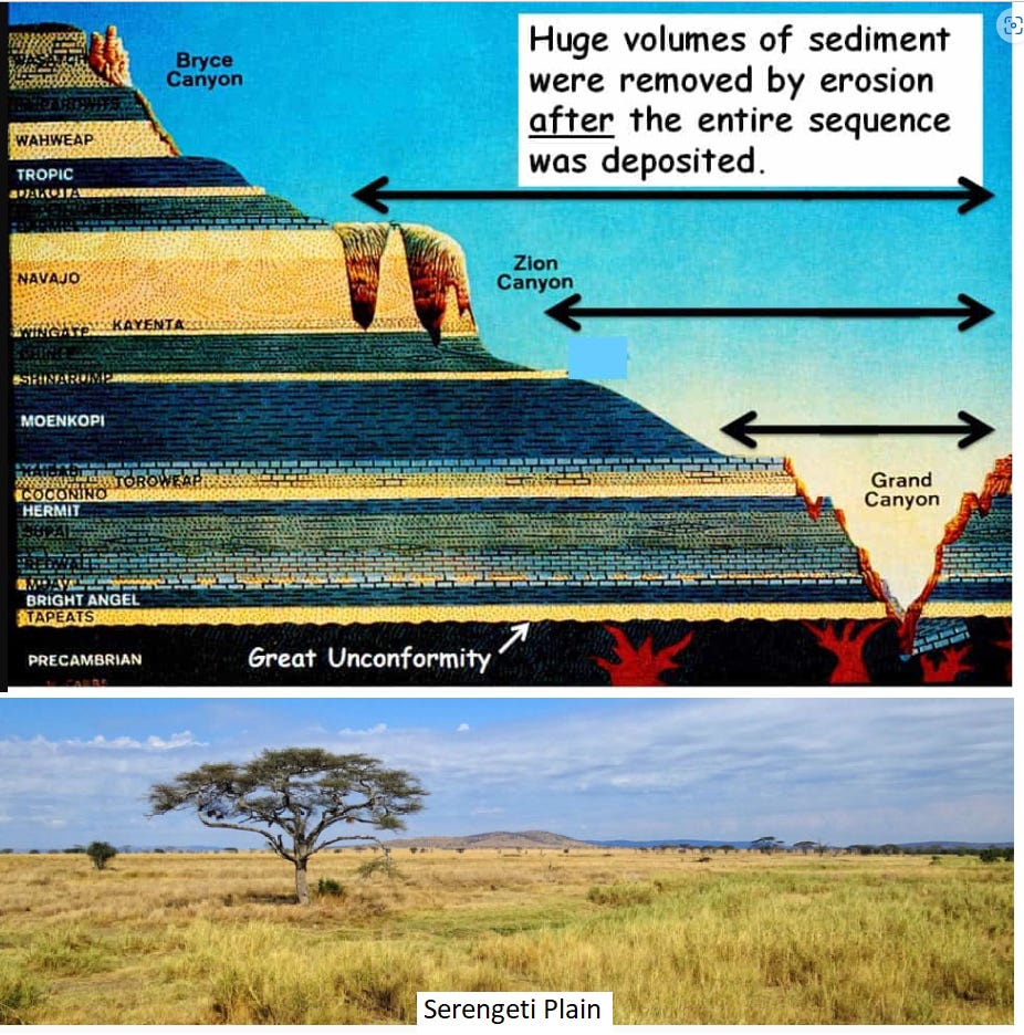 SEDIMENTARY ROCK STRATA FORMATION - by Len Kinder