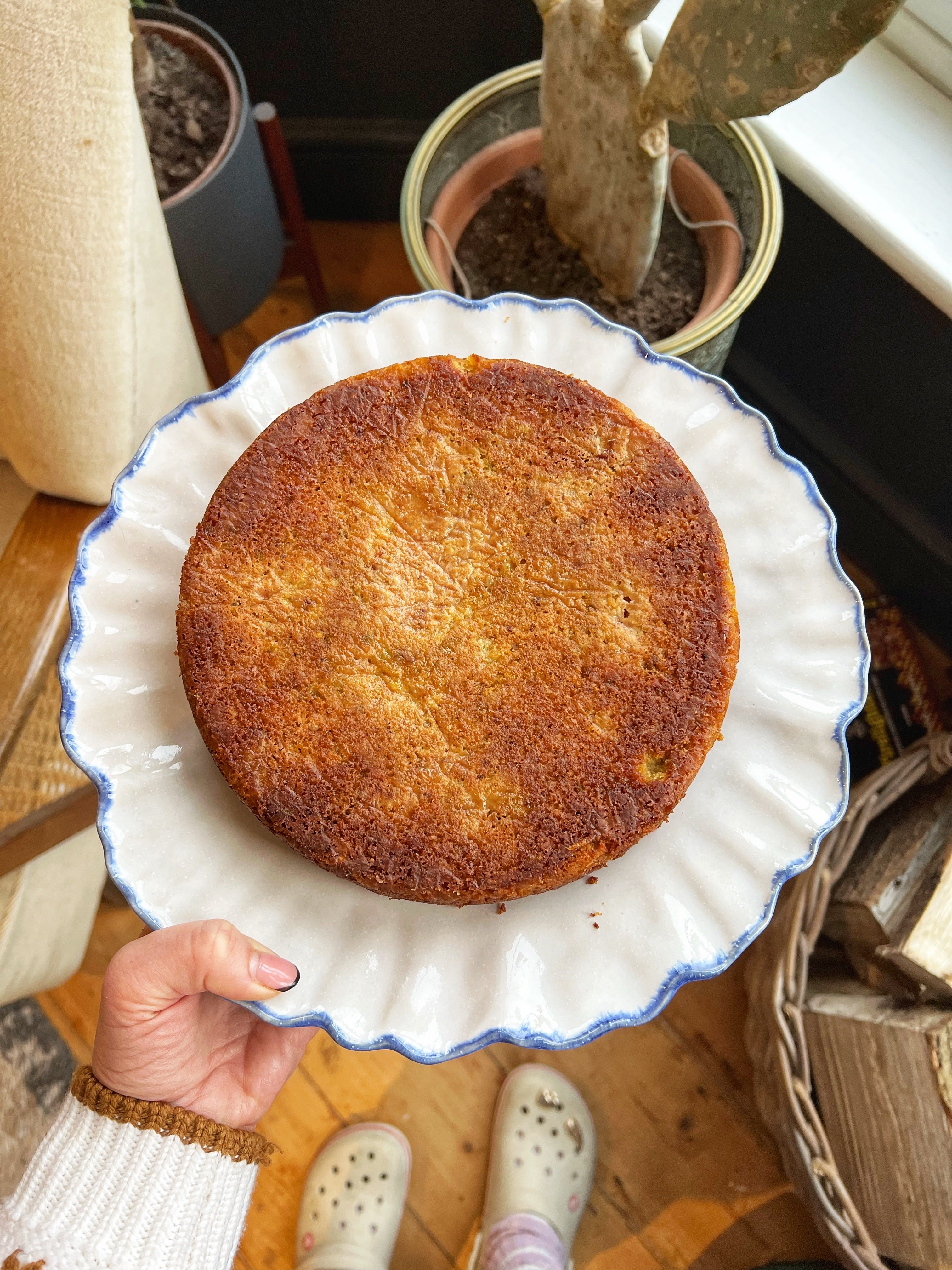 How a fridge spruce led to a squidgy cake of dreams, and a few of my ...