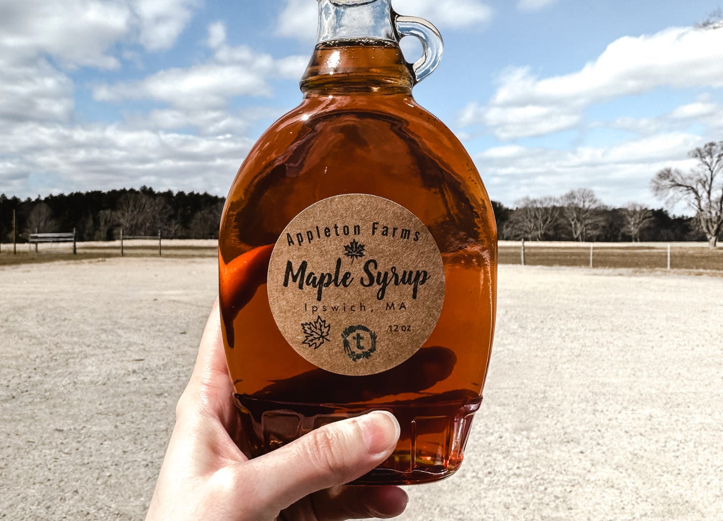 The Surprising Science Behind Maple Syrup Production