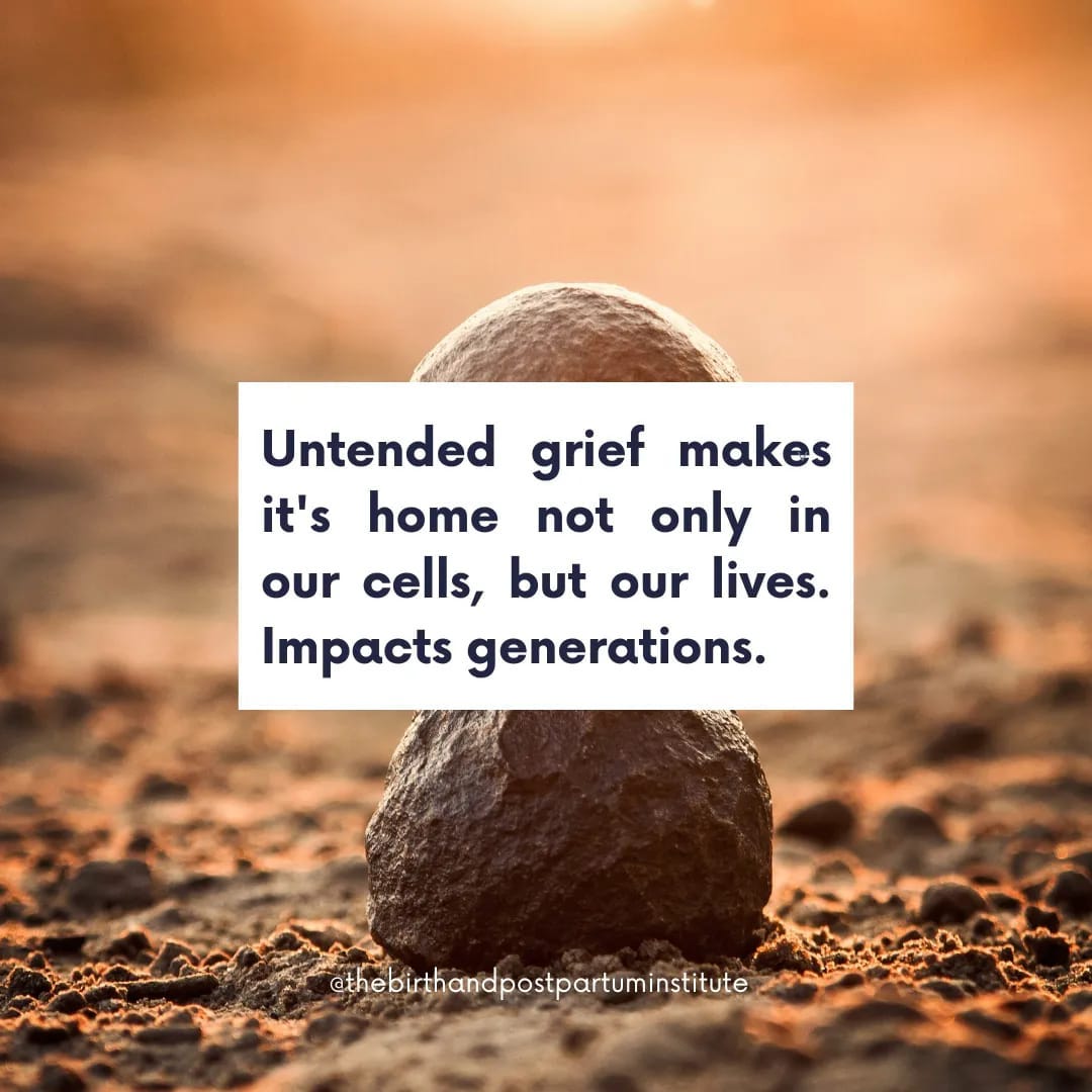 Your Amazing Placenta - by Alyssa Leon - The Blossom