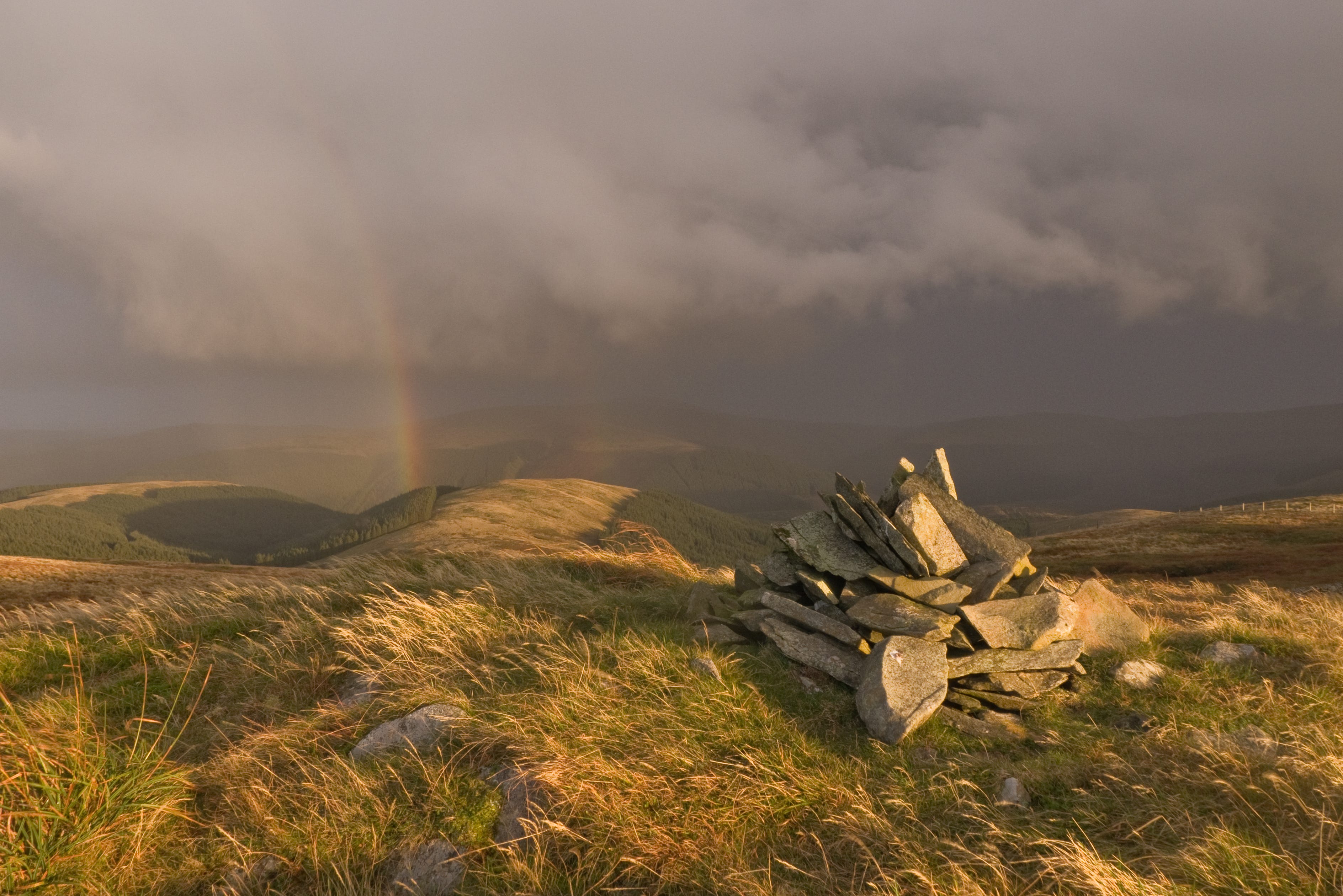 Jamie Dodd of the Muir - by Ronald Turnbull