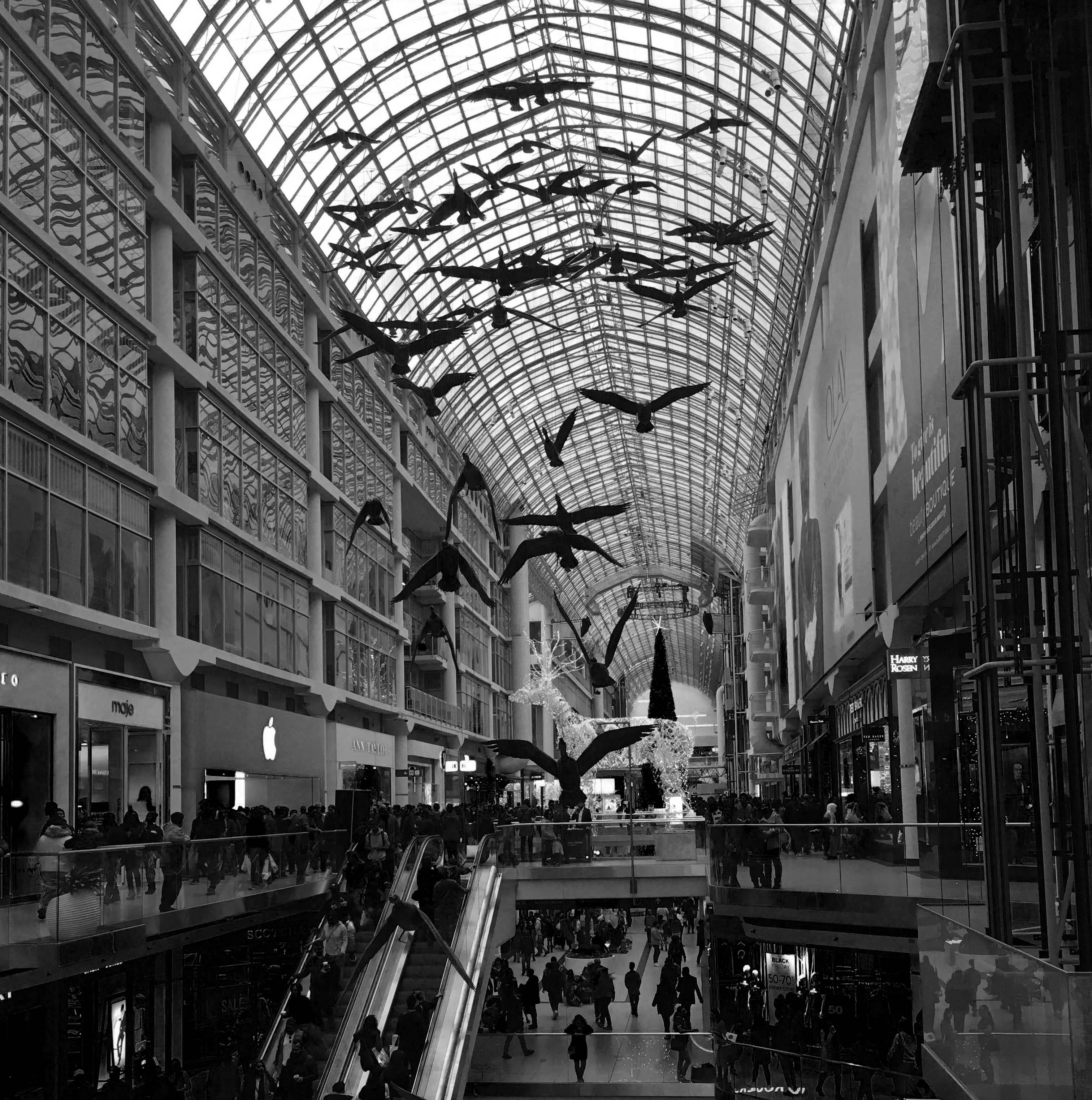 TORONTO - Akasha Lawrence Spence