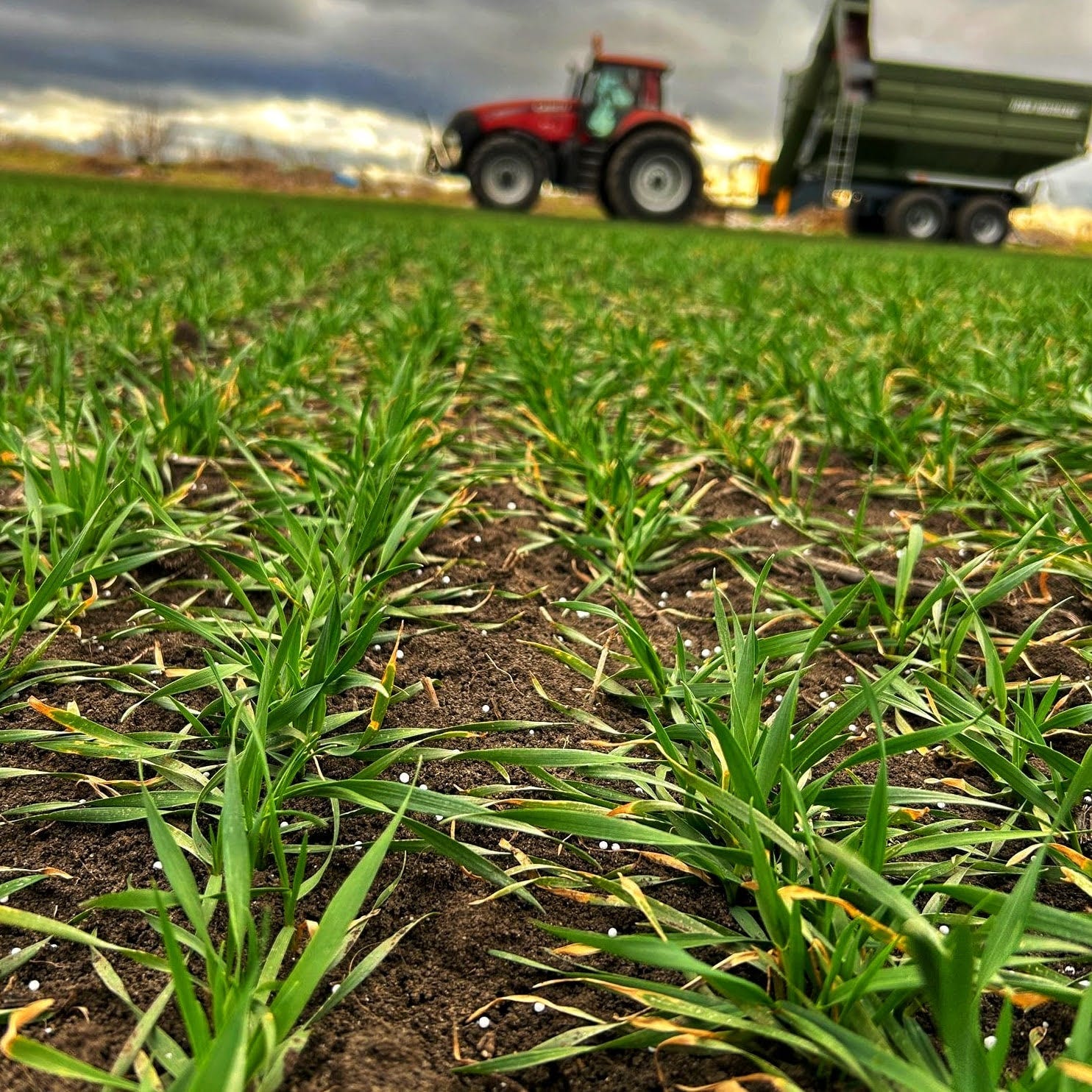 Exerciții de nădejde în Câmpia Soarelui - PAROHIA PLEVNA