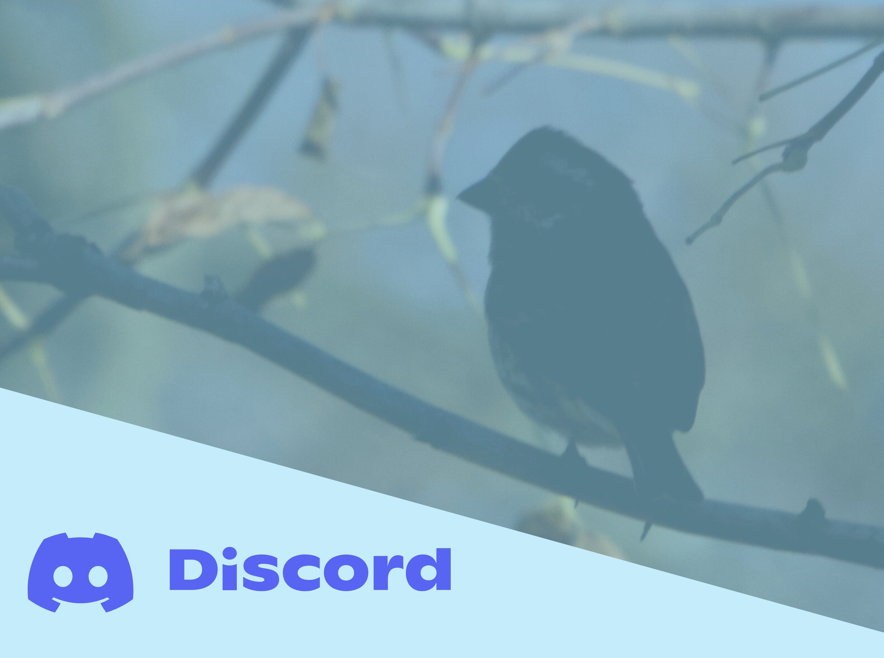 TWiB Notes: Sowing Discord, Rust Belt flamingos, and a look at the ...