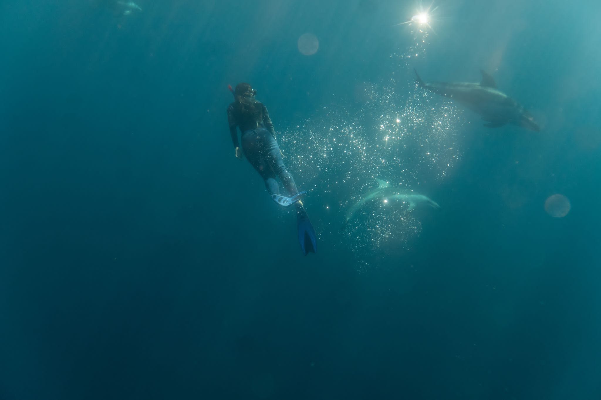 Isabella Cavalletti | Substack