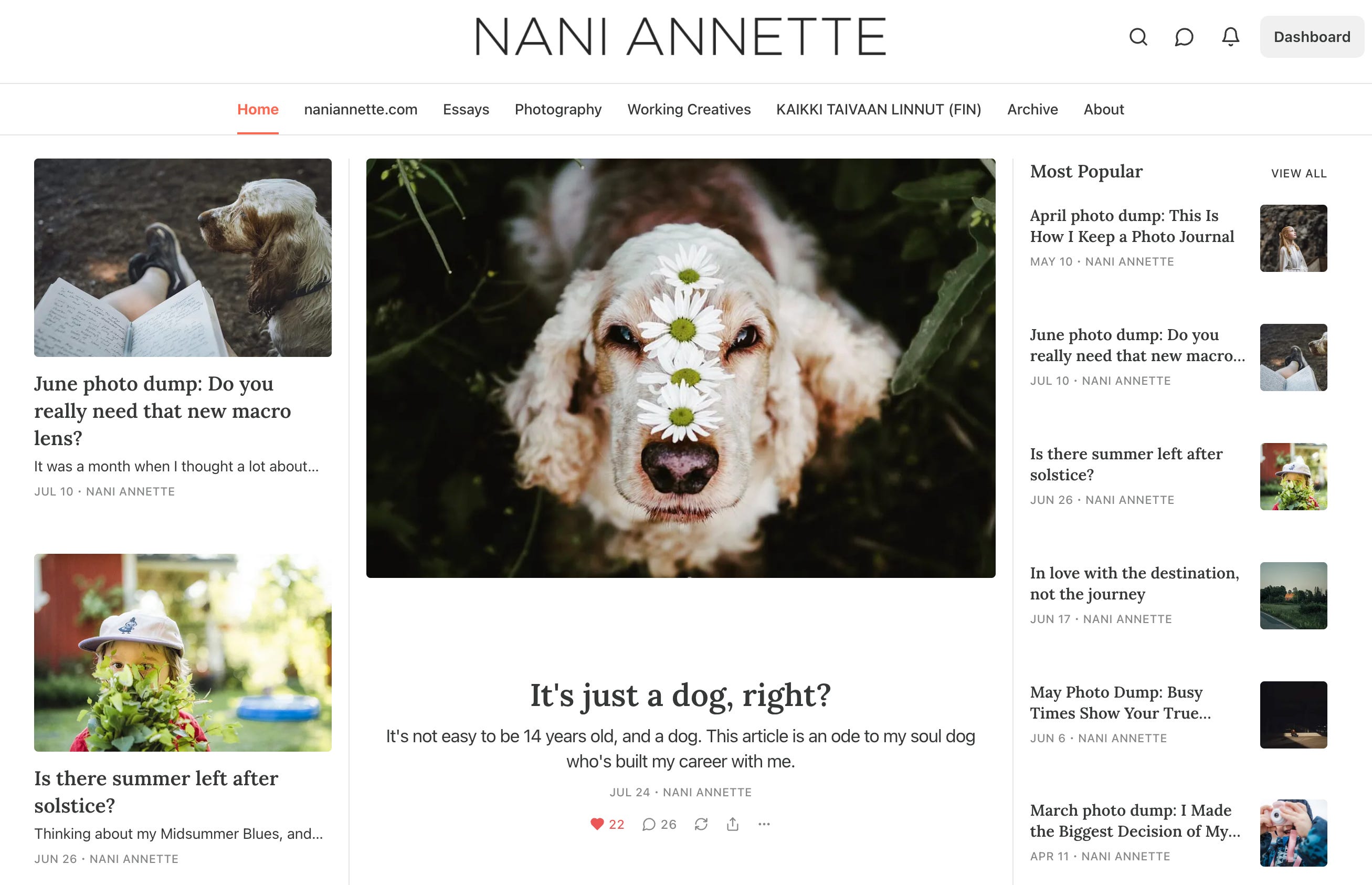 Substack-raportti heinäkuu 2024 - by Nani Annette