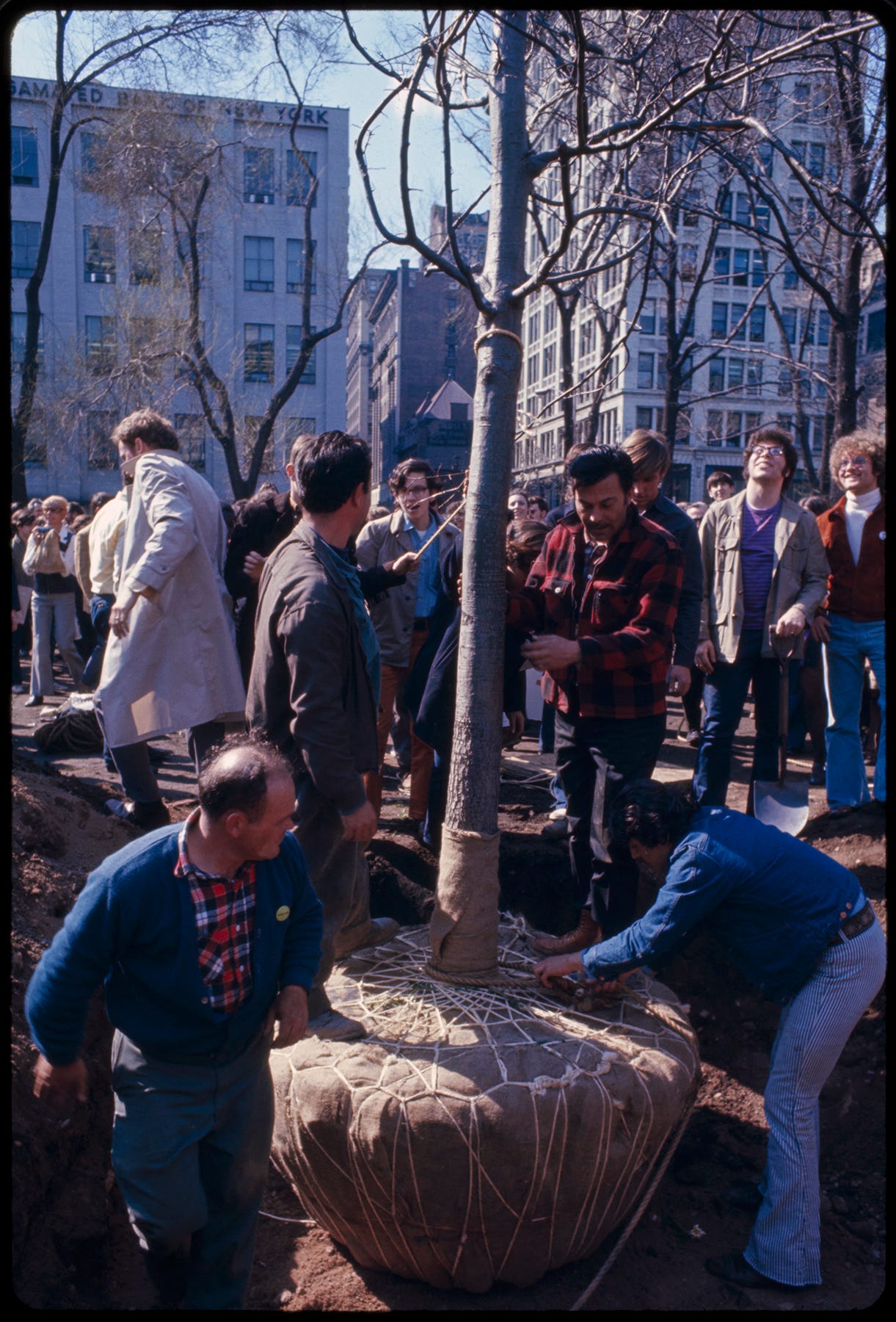 The First Earth Day 1970 - by Laura McLaws Helms